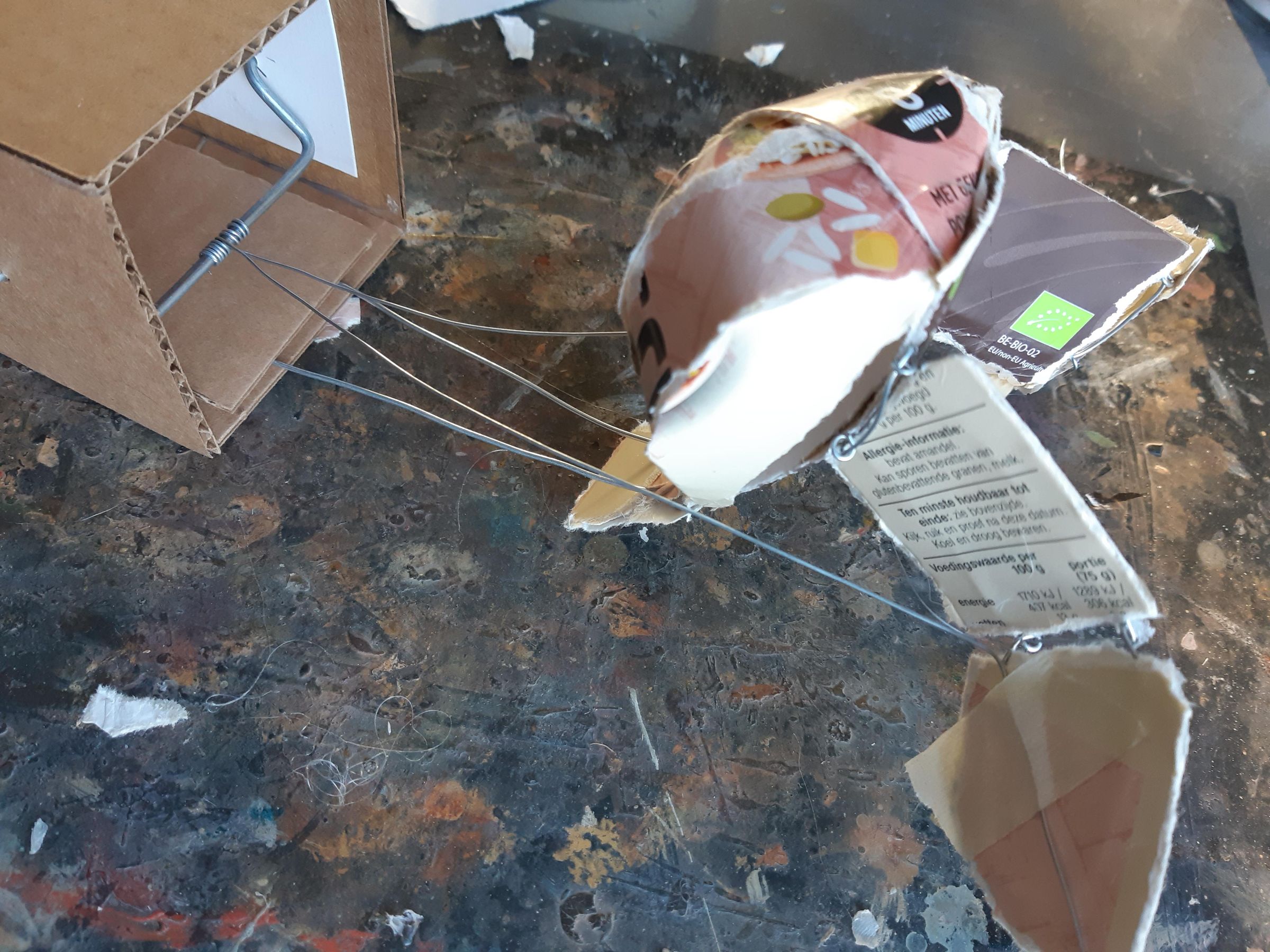 Bird Out of the Box : 10 Steps (with Pictures) - Instructables