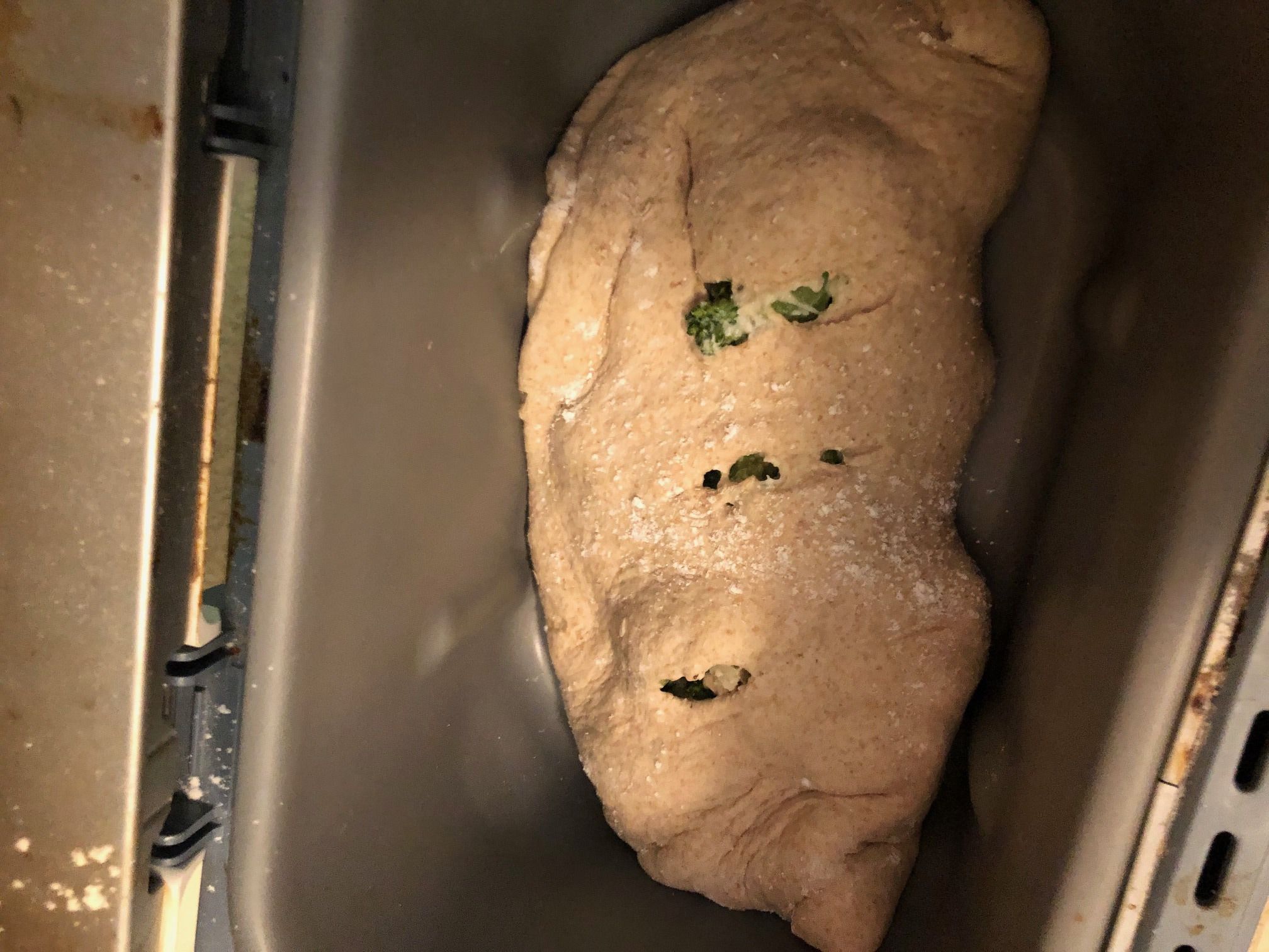 Broccoli, Spinach and Mushroom Calzone in the Bread Machine : 8 Steps ...