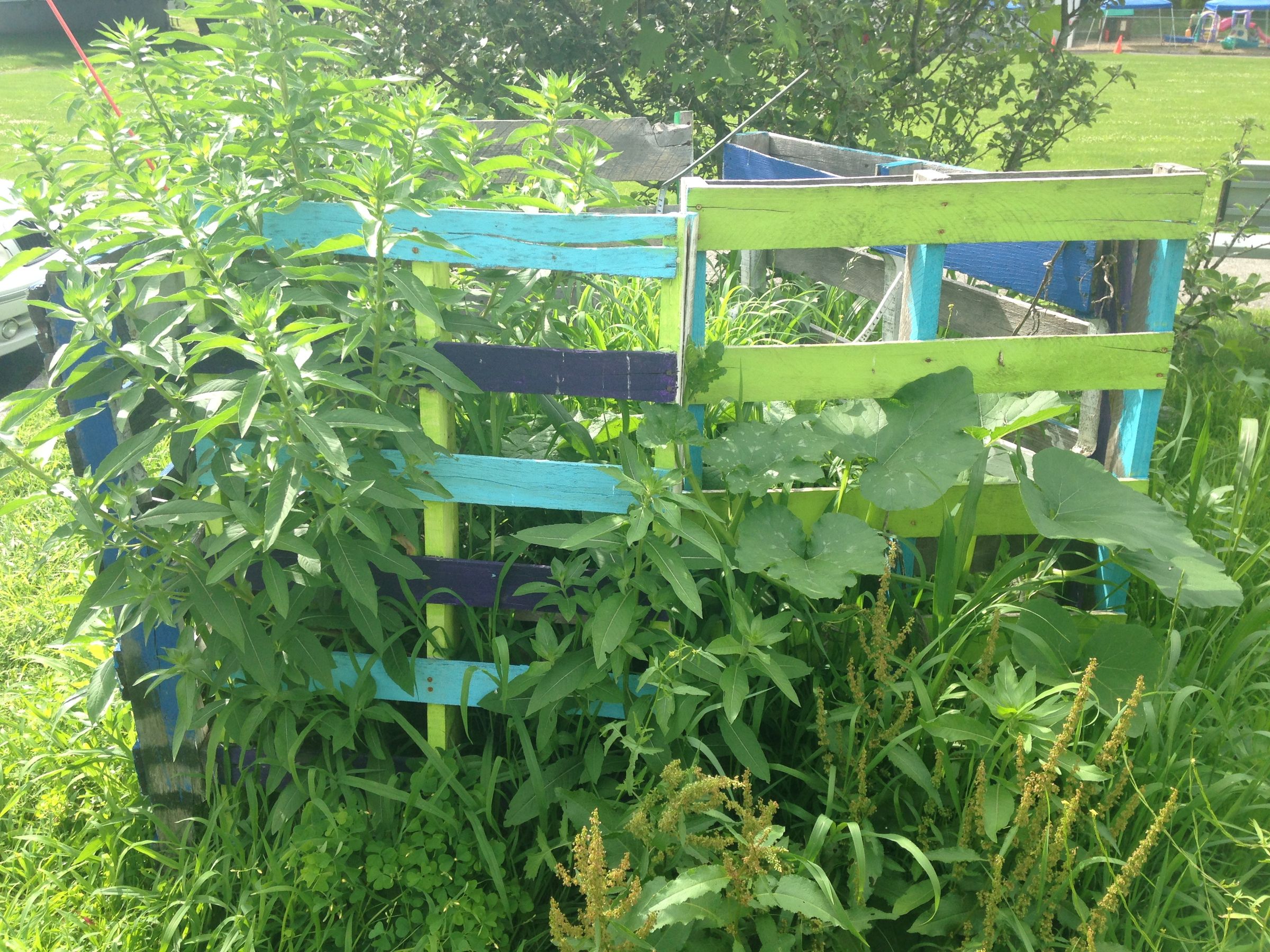 Upcycled Pallet Trellis : 4 Steps - Instructables