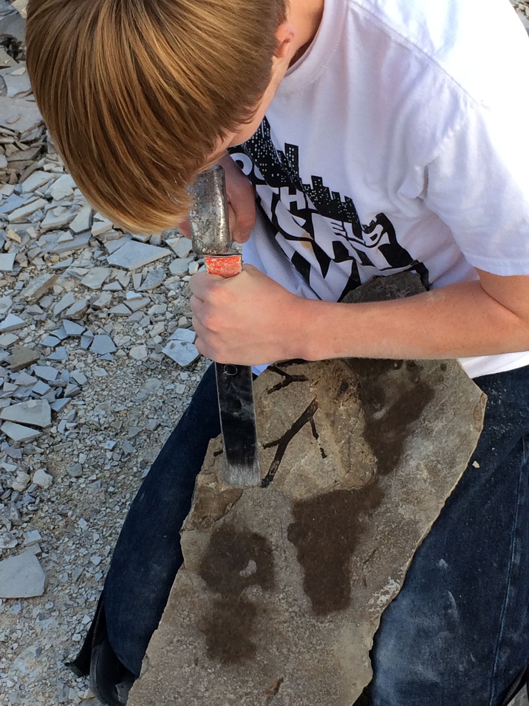 Split Limestone to Find Fossils!! : 4 Steps (with Pictures) - Instructables