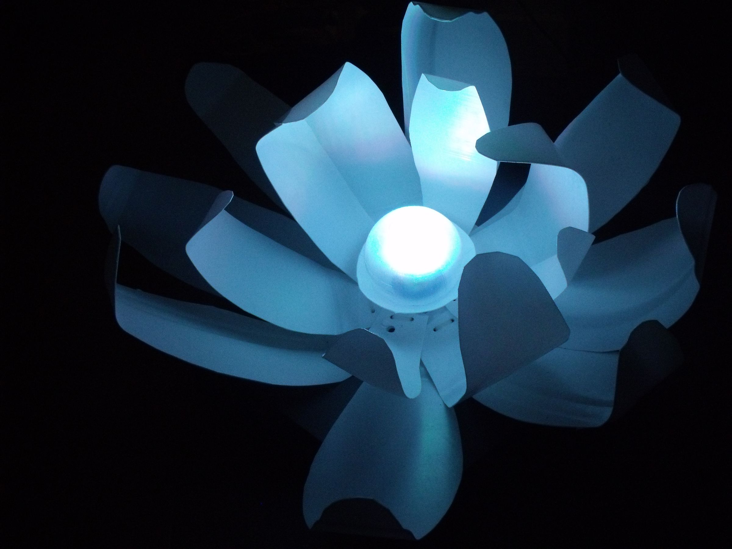 Rainbow Daisy : 5 Steps (with Pictures) - Instructables