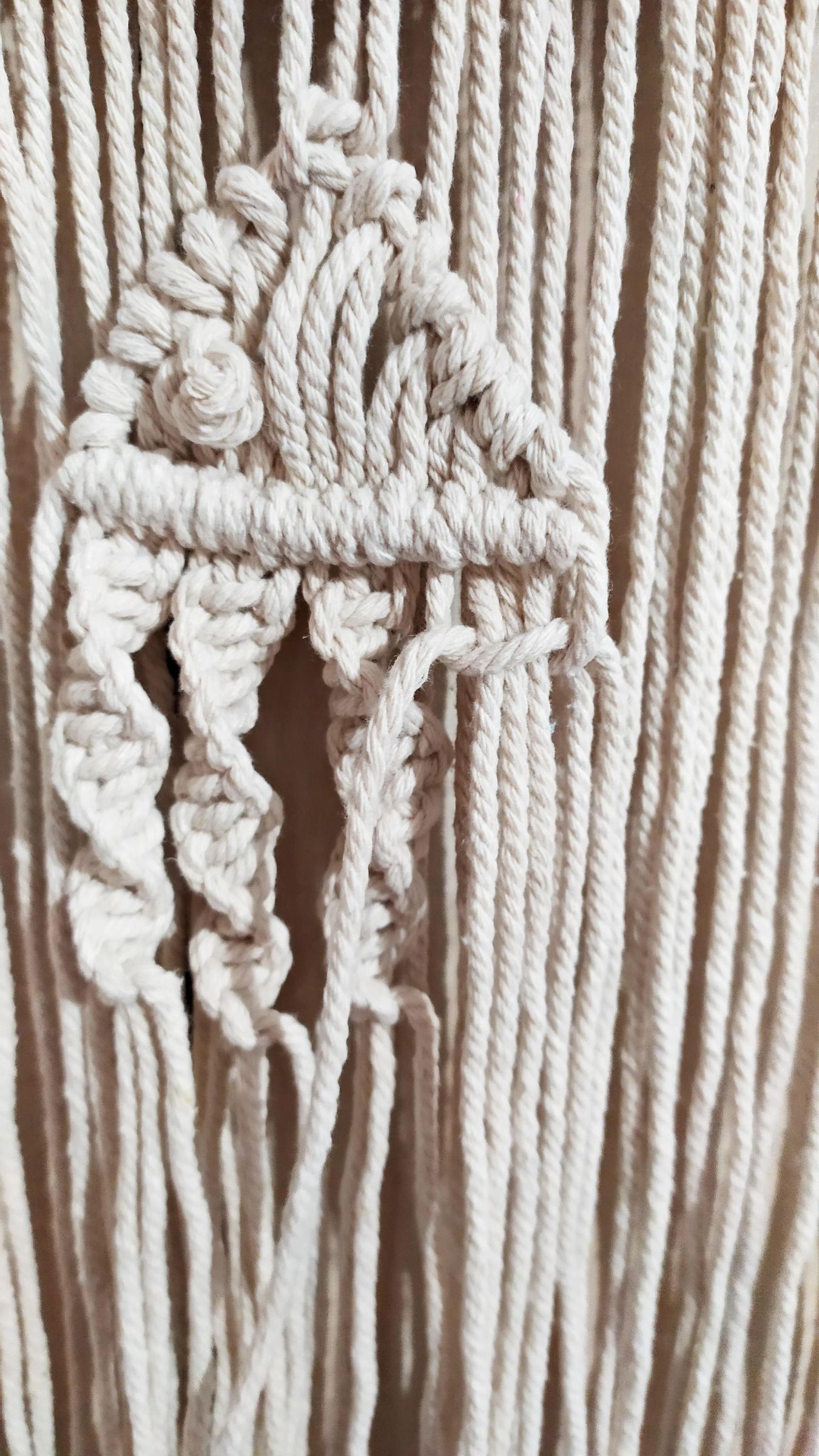 Macrame Fish Wall Hanging Made From Rope Scraps : 15 Steps (with ...