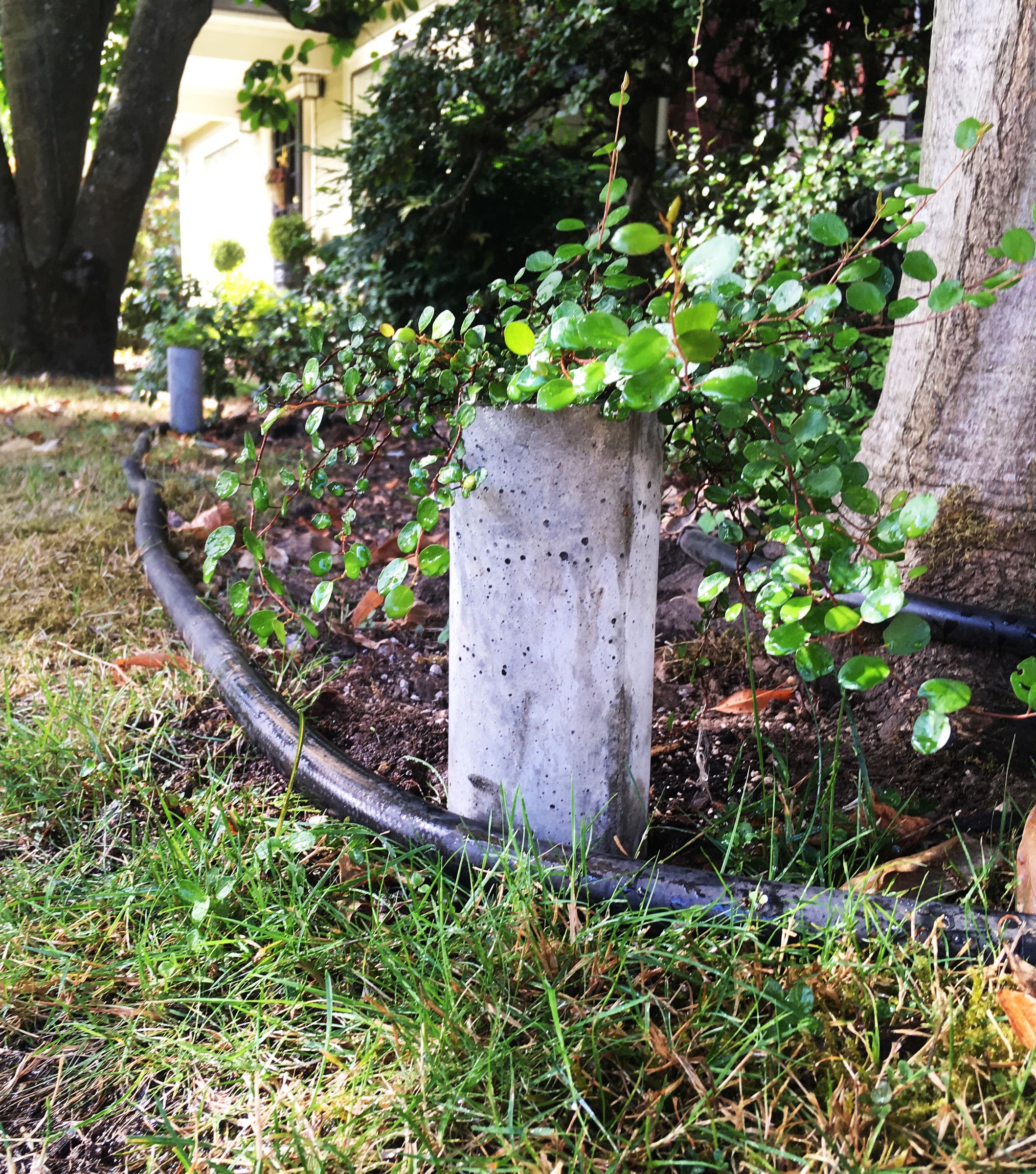 Hose Guide Planters : 7 Steps (with Pictures) - Instructables