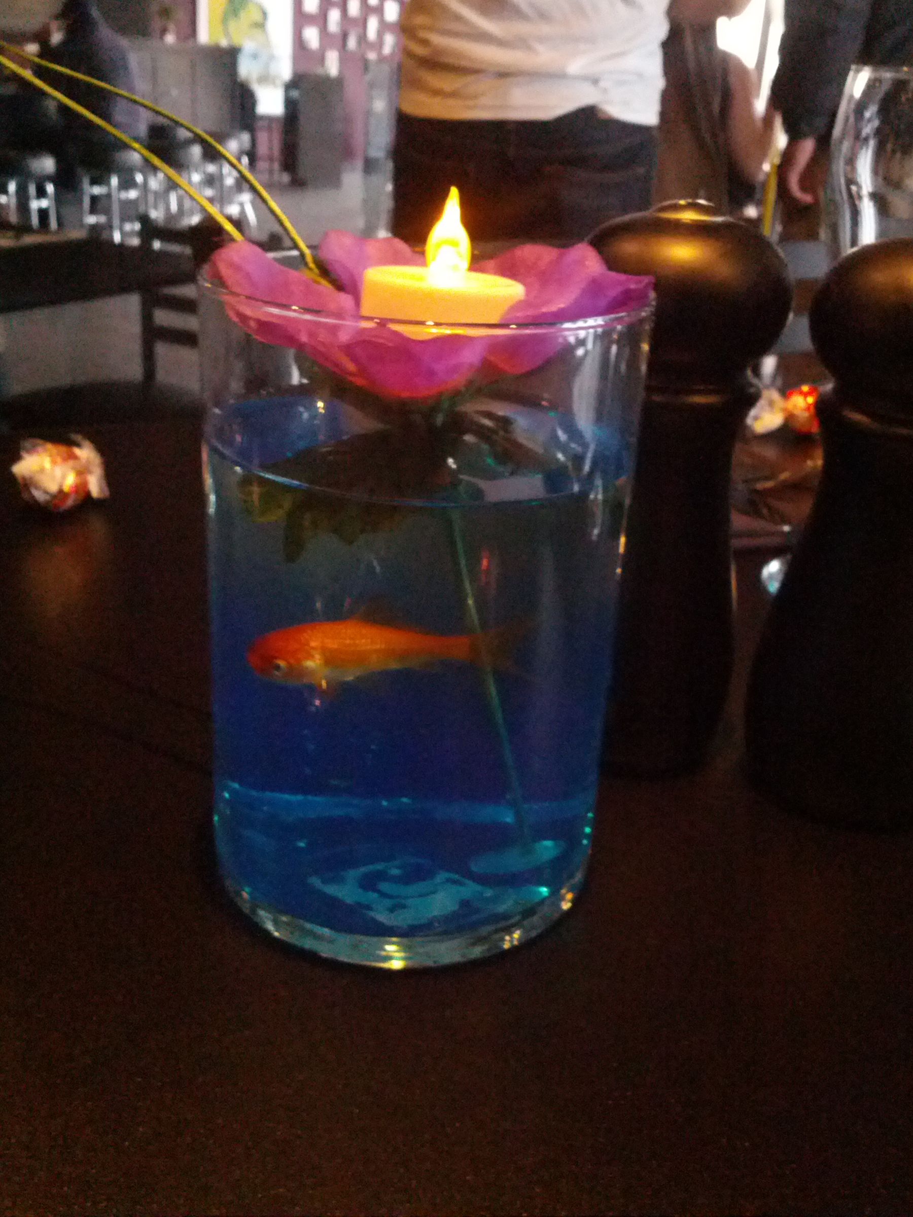 Cheap Easy Fish Center Pieces - Instructables