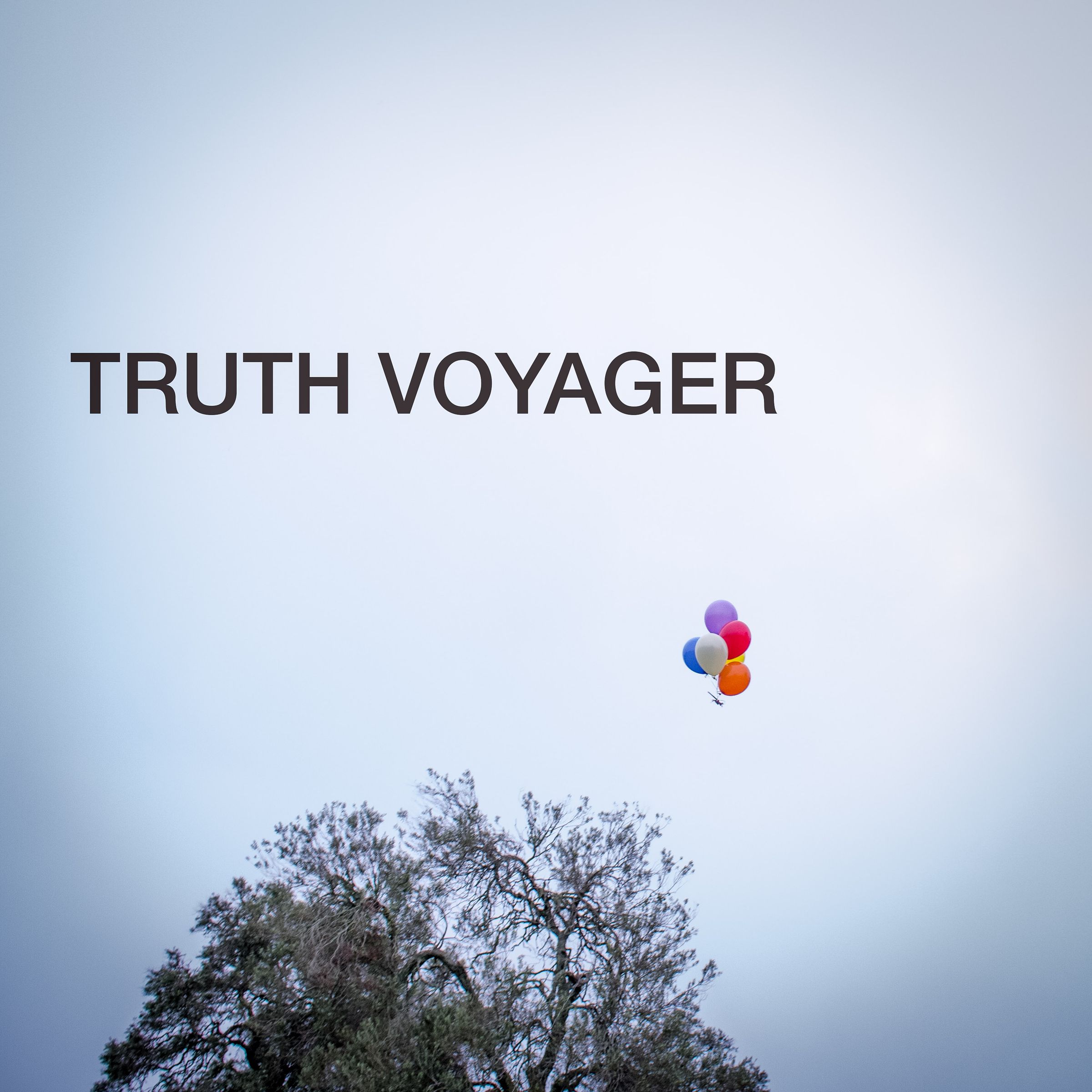 How to Reach the Truth: Truth Voyager : 11 Steps (with Pictures ...