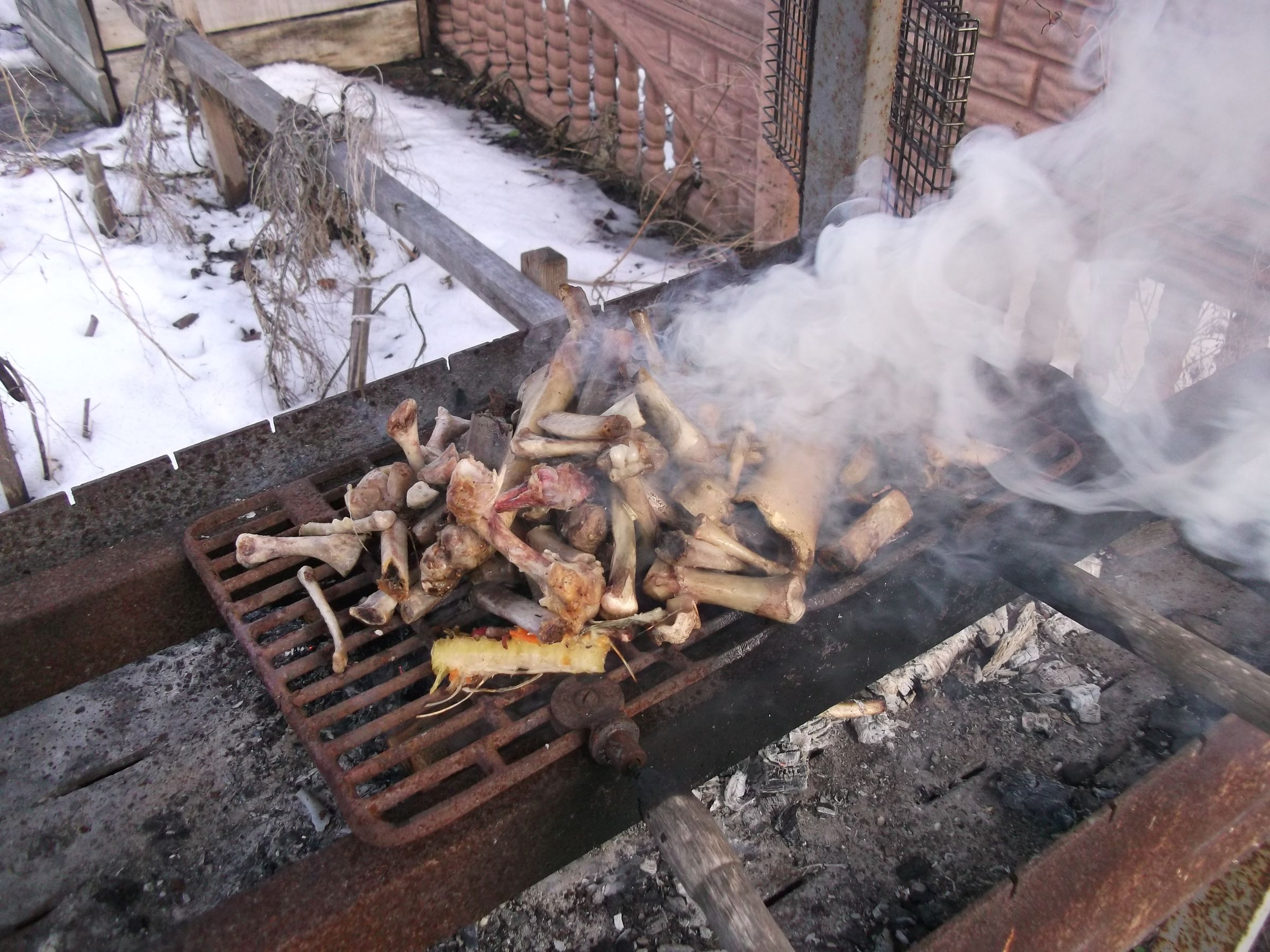 Animal Bones As Fuel and Fertilizer : 6 Steps (with Pictures ...