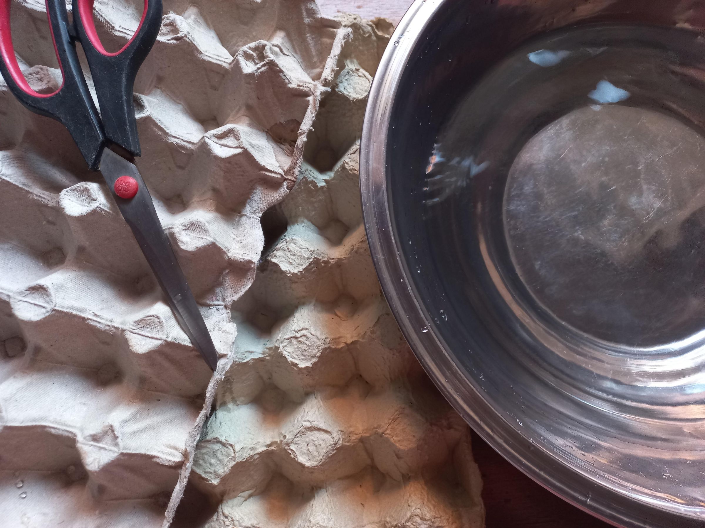 How to Turn Egg Cartons Into a Plant Pot : 8 Steps (with Pictures ...