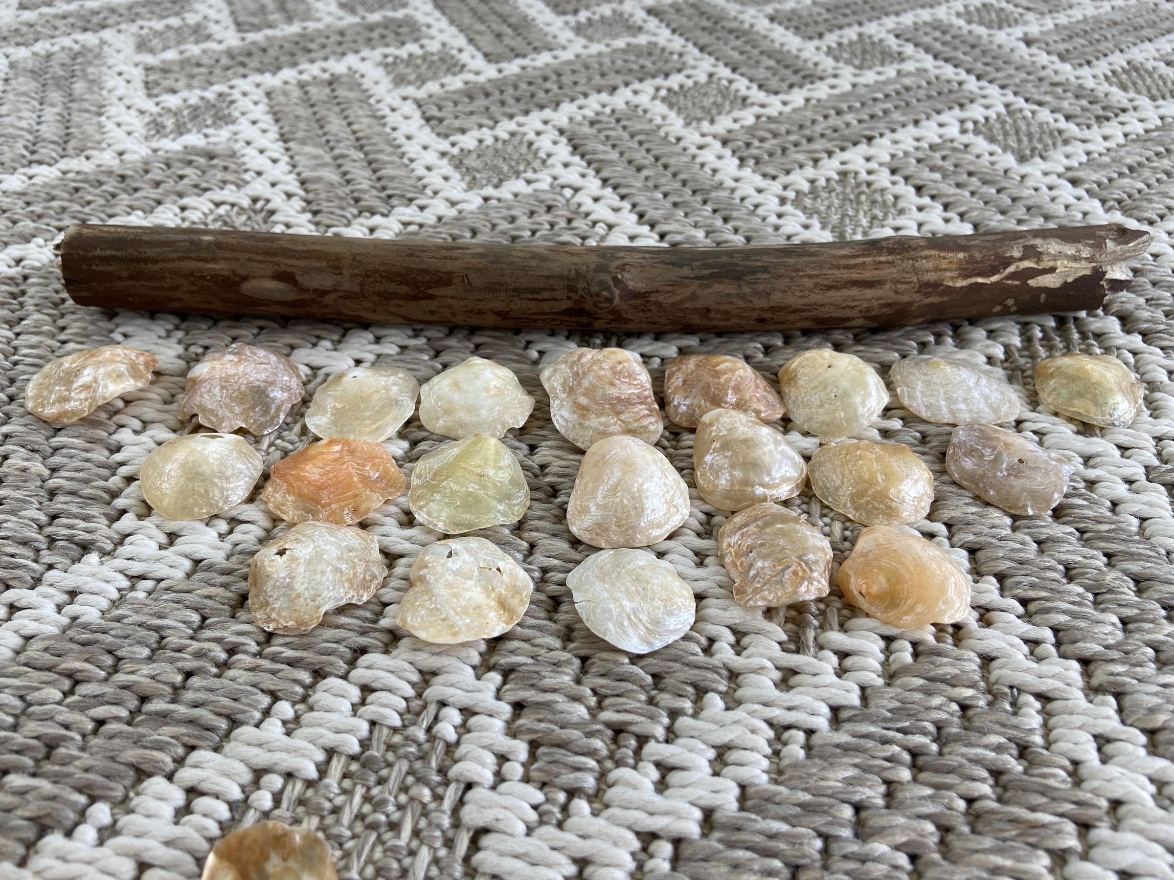 Seashell Wall Hanging : 6 Steps (with Pictures) - Instructables