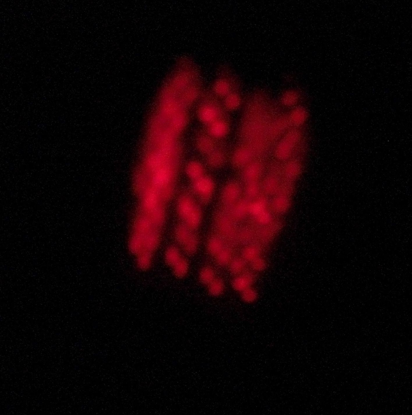 Make a Volumetric Display : 7 Steps - Instructables