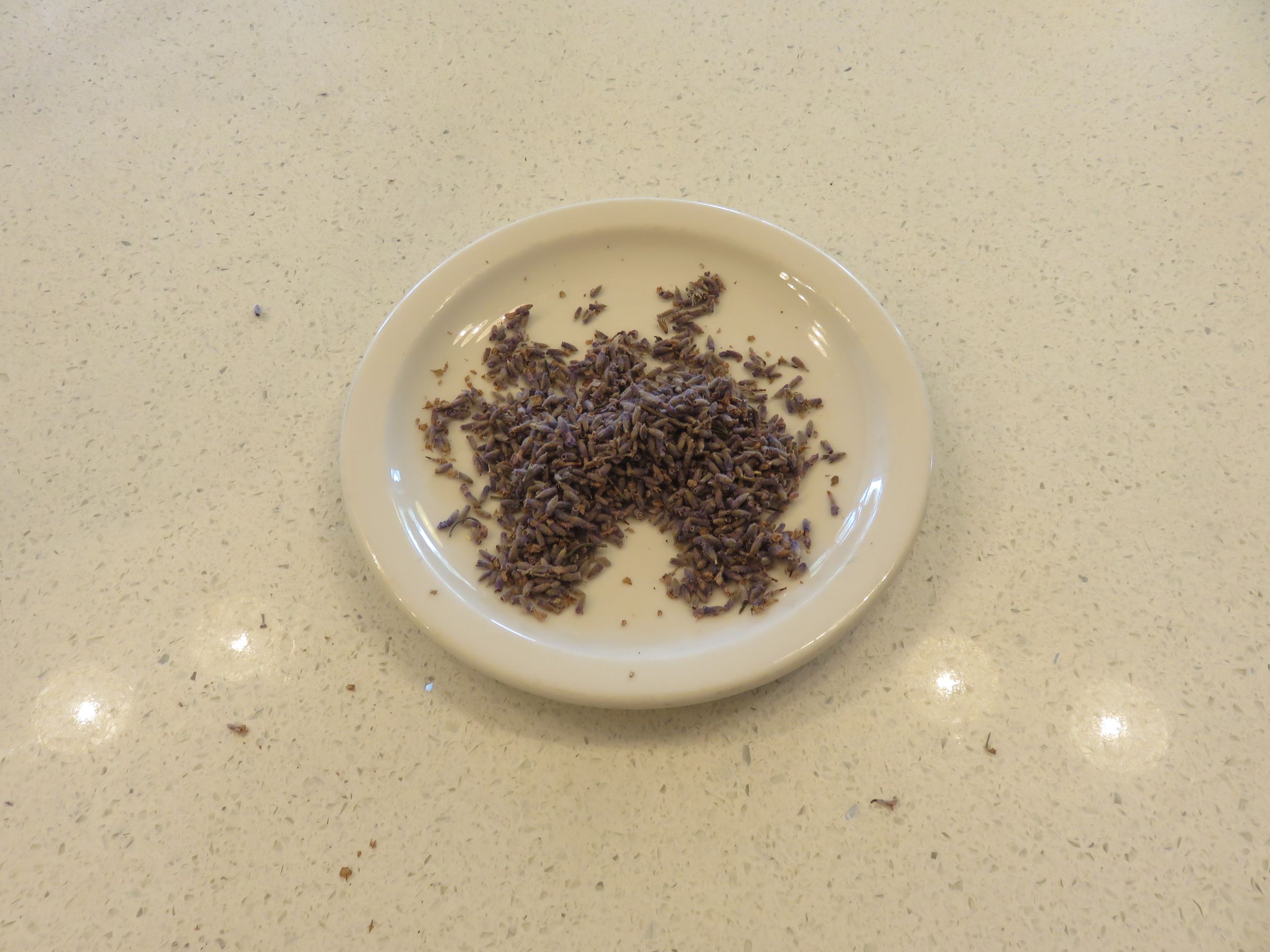 Chocolate Lavender Cake : 8 Steps - Instructables