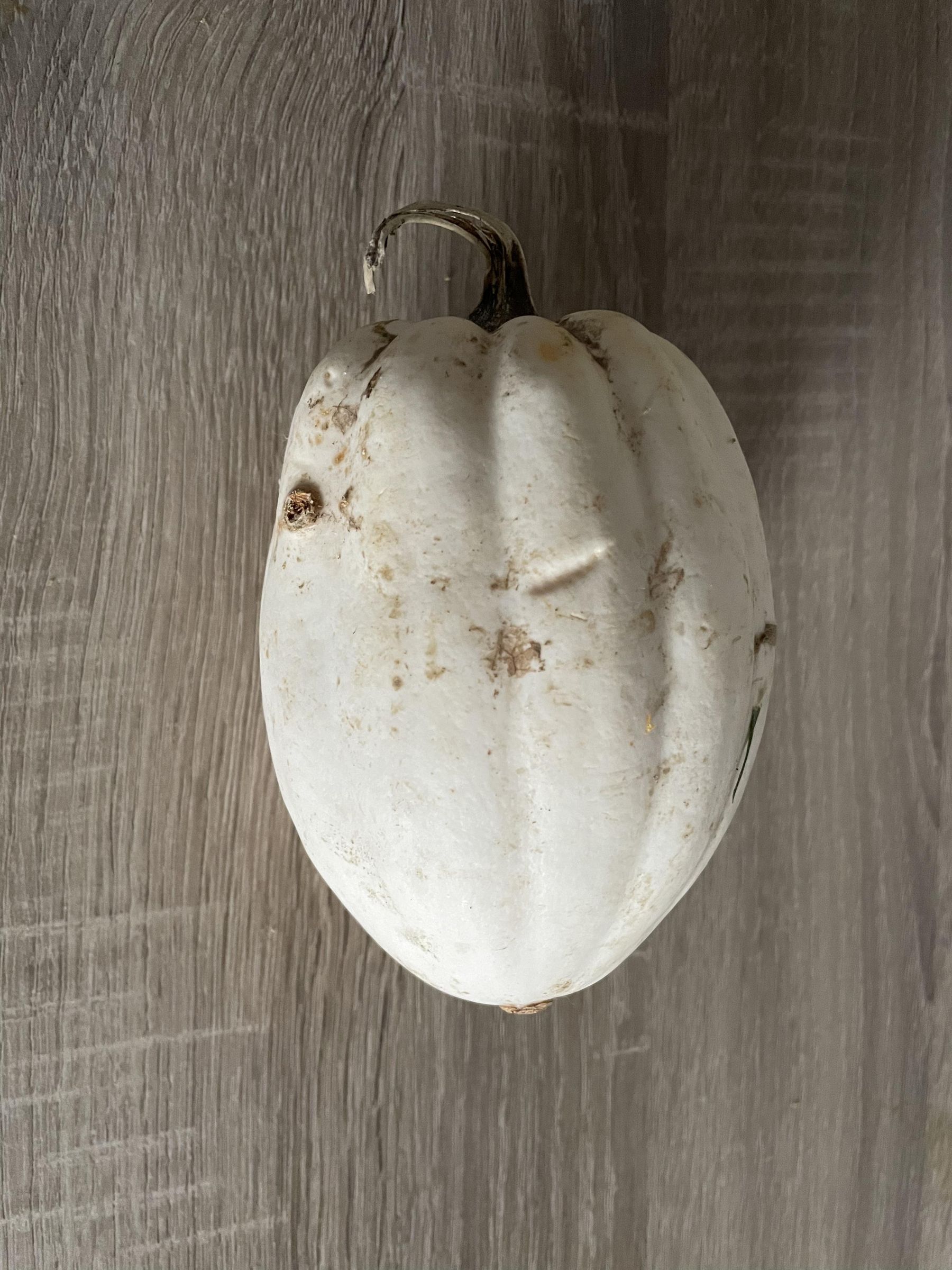 Ferryman Pumpkin : 4 Steps - Instructables