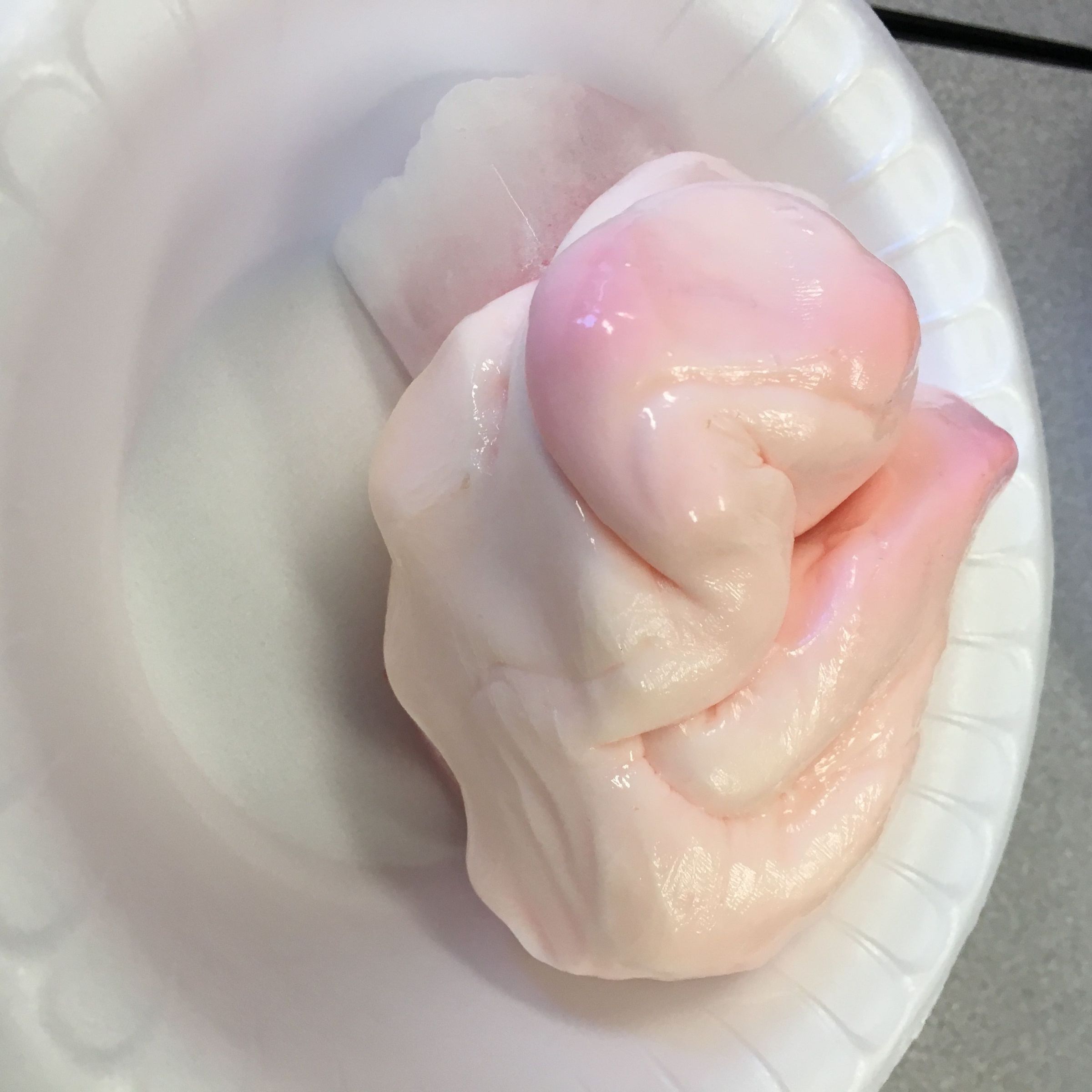 Color Changing Slime : 5 Steps (with Pictures) - Instructables