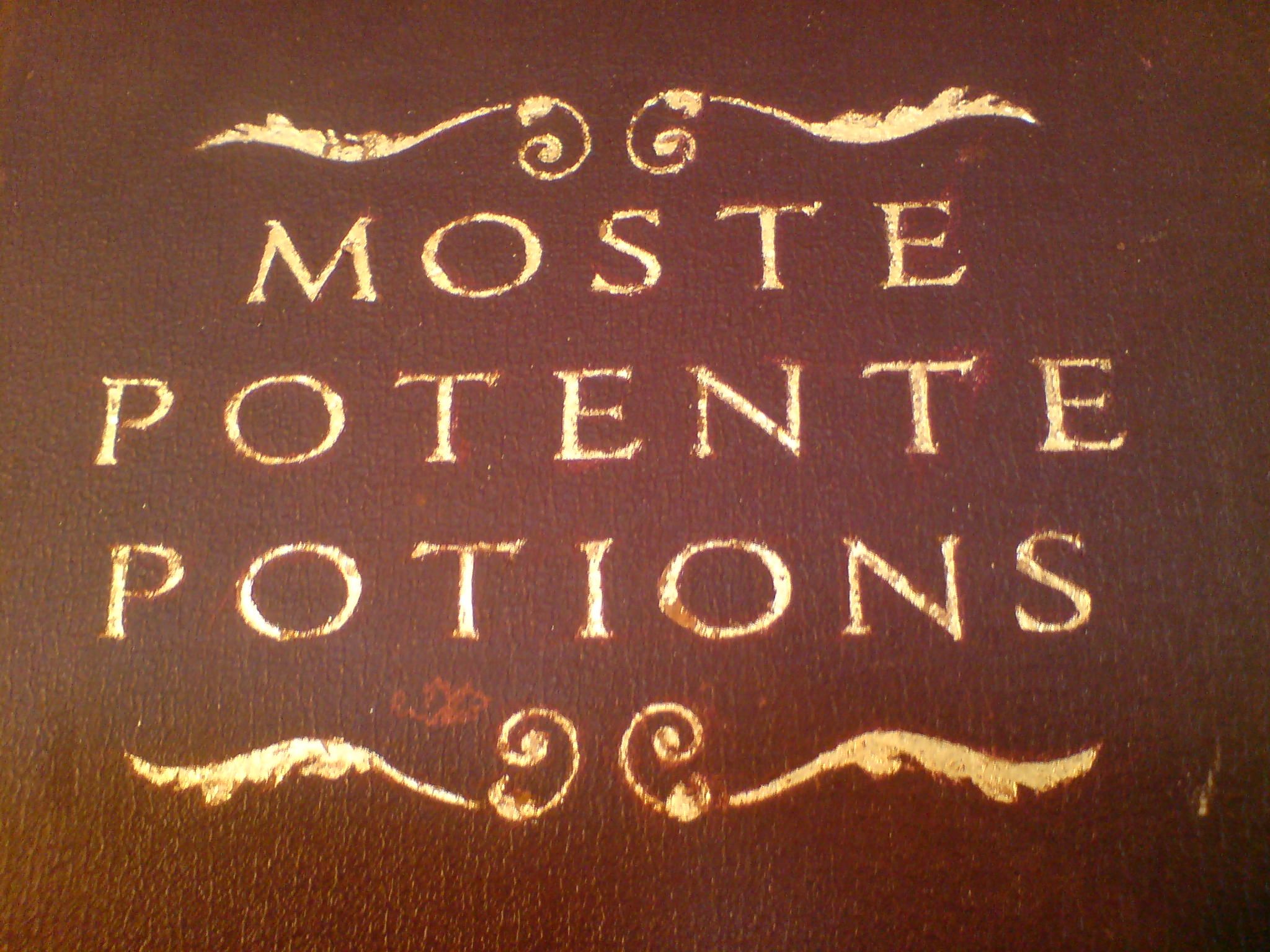 Harry Potter Style Hogwarts Library Spellbooks : 10 Steps (with ...
