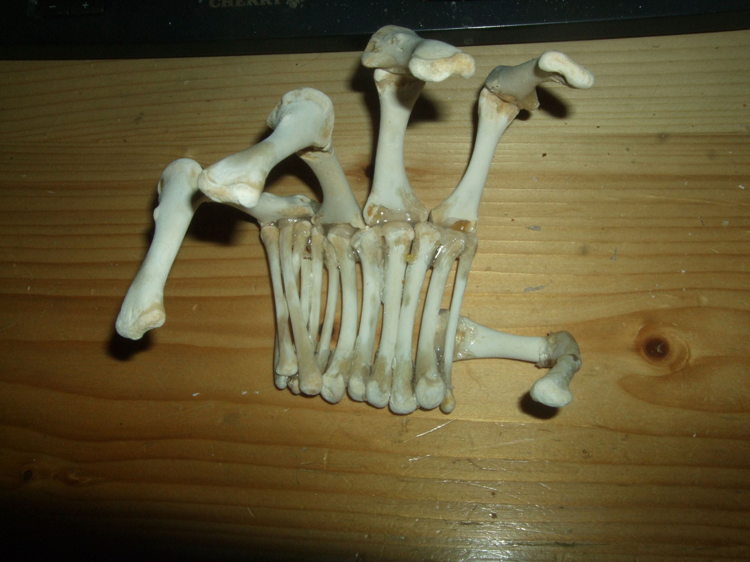 Front (grave)yard Hand : 8 Steps (with Pictures) - Instructables