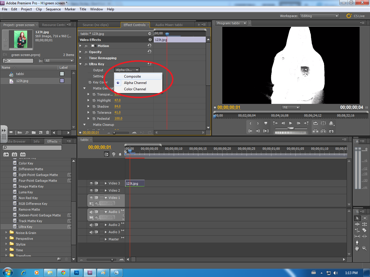 How to Use Green Screen on Adobe Premiere : 12 Steps - Instructables