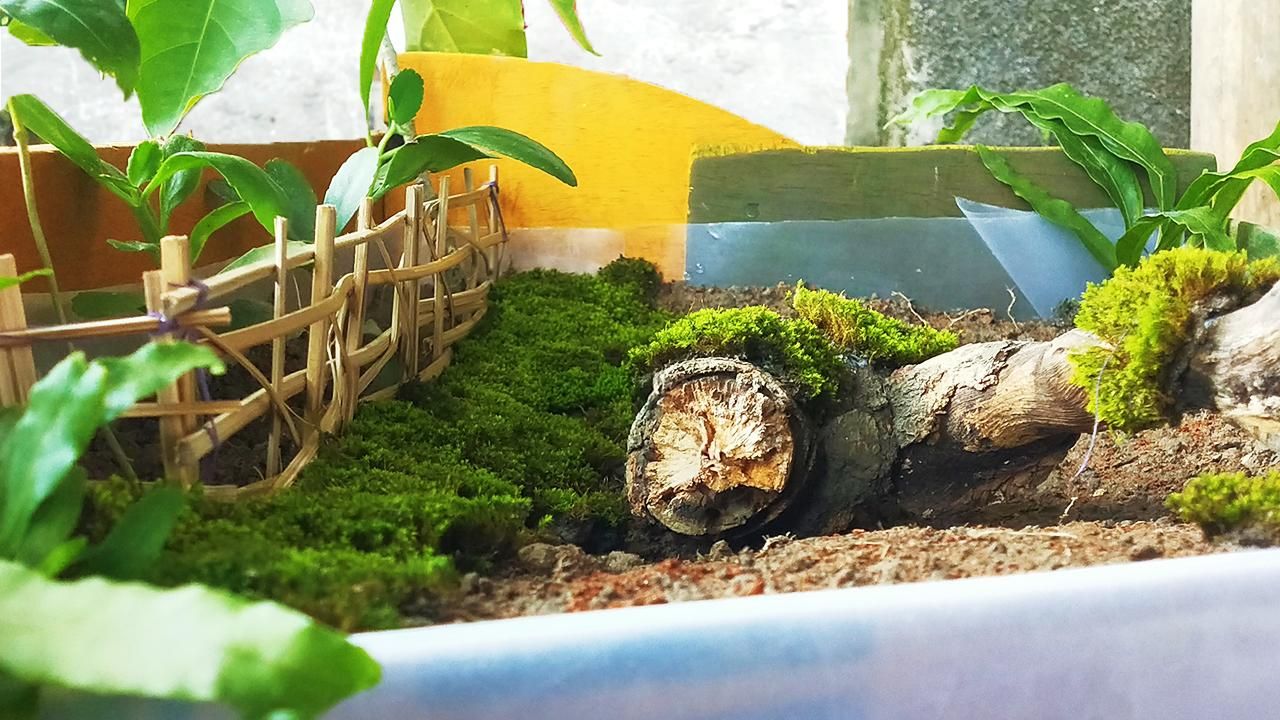 Turtle Habitat for Baby Turtles | Homemade Turtle Garden : 18 Steps ...
