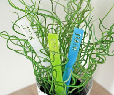 Plant Identification Signs : 4 Steps (with Pictures) - Instructables