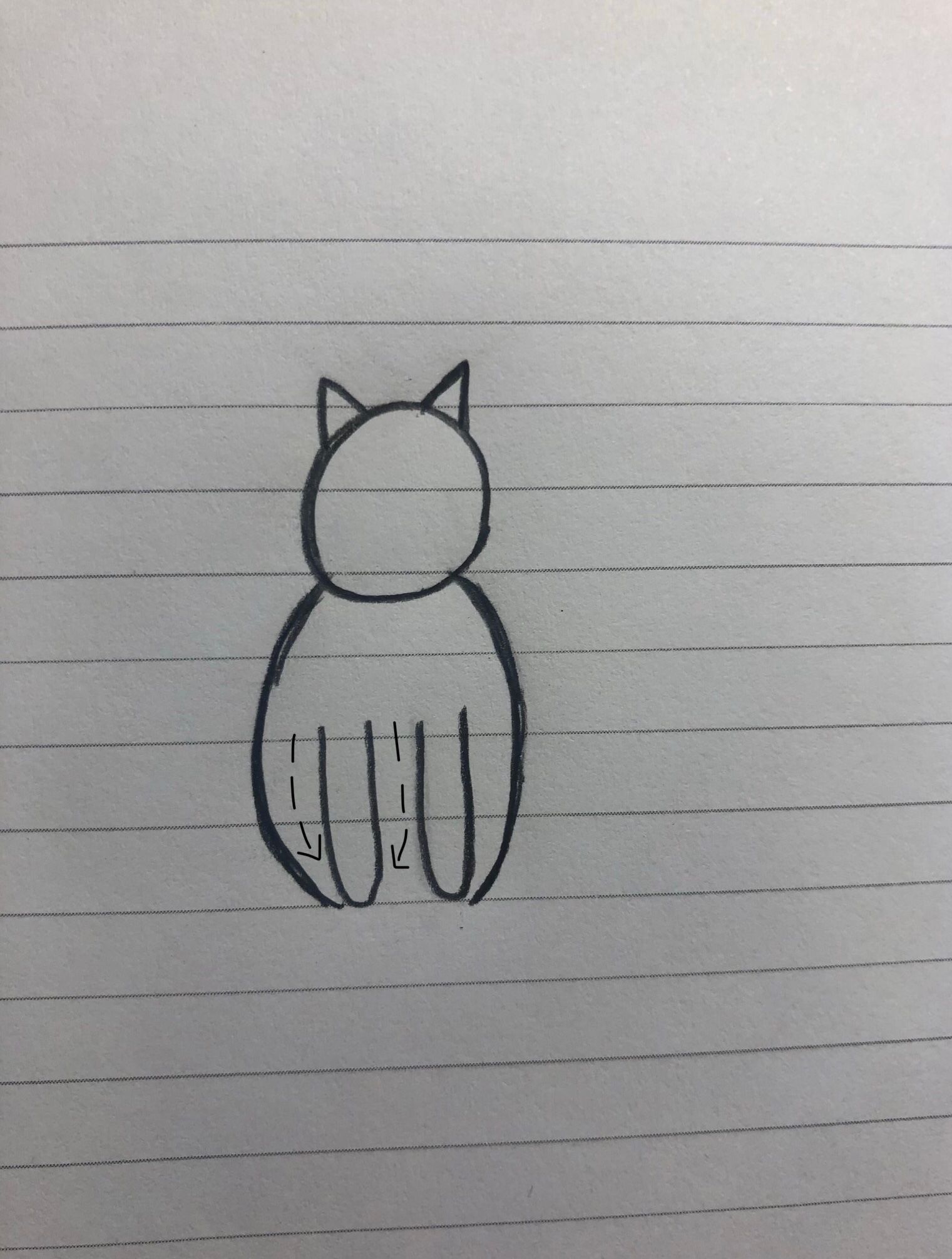 Steps To Draw A Cat Paw