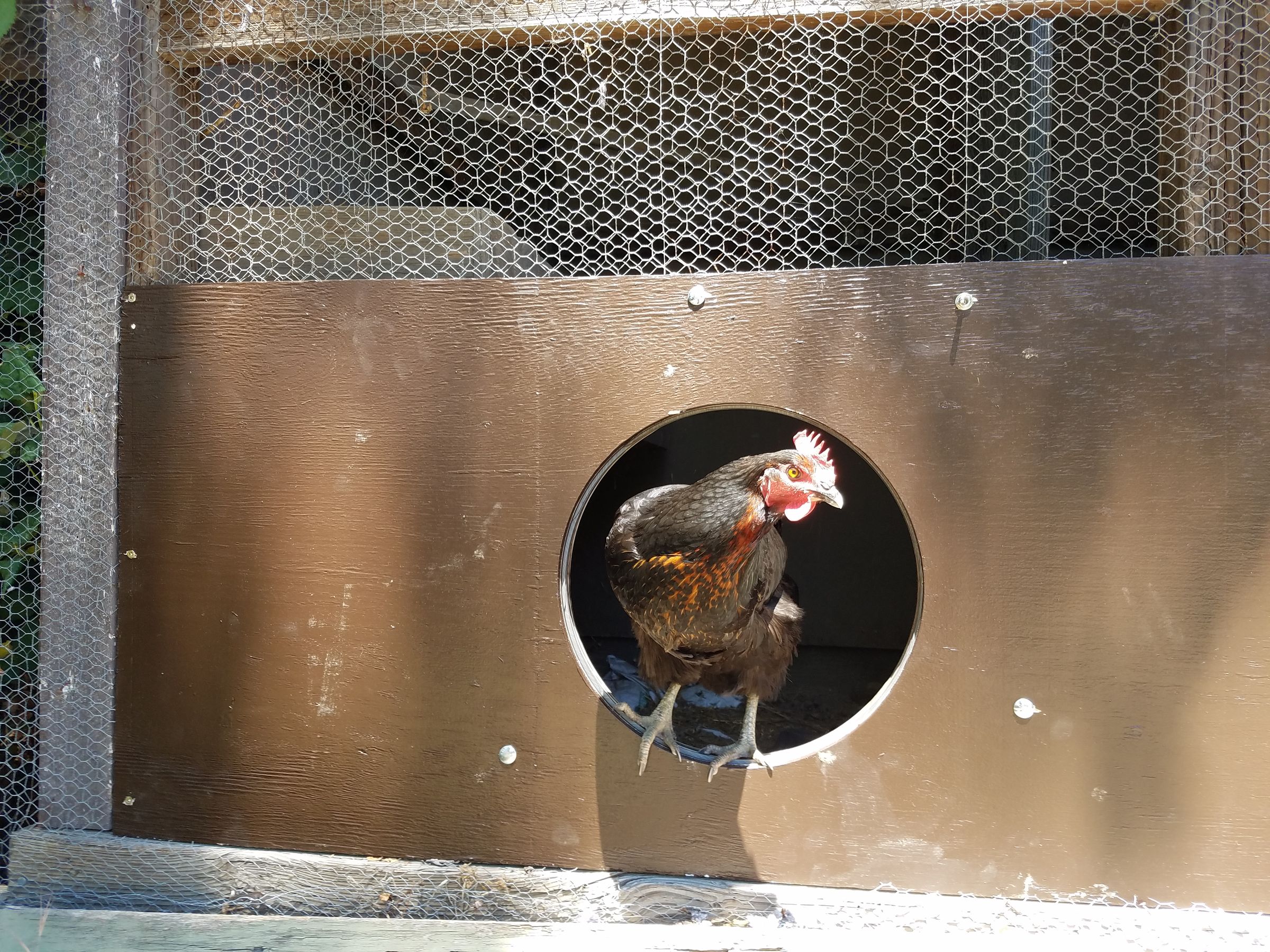 Mechanical Iris Door : 12 Steps (with Pictures) - Instructables