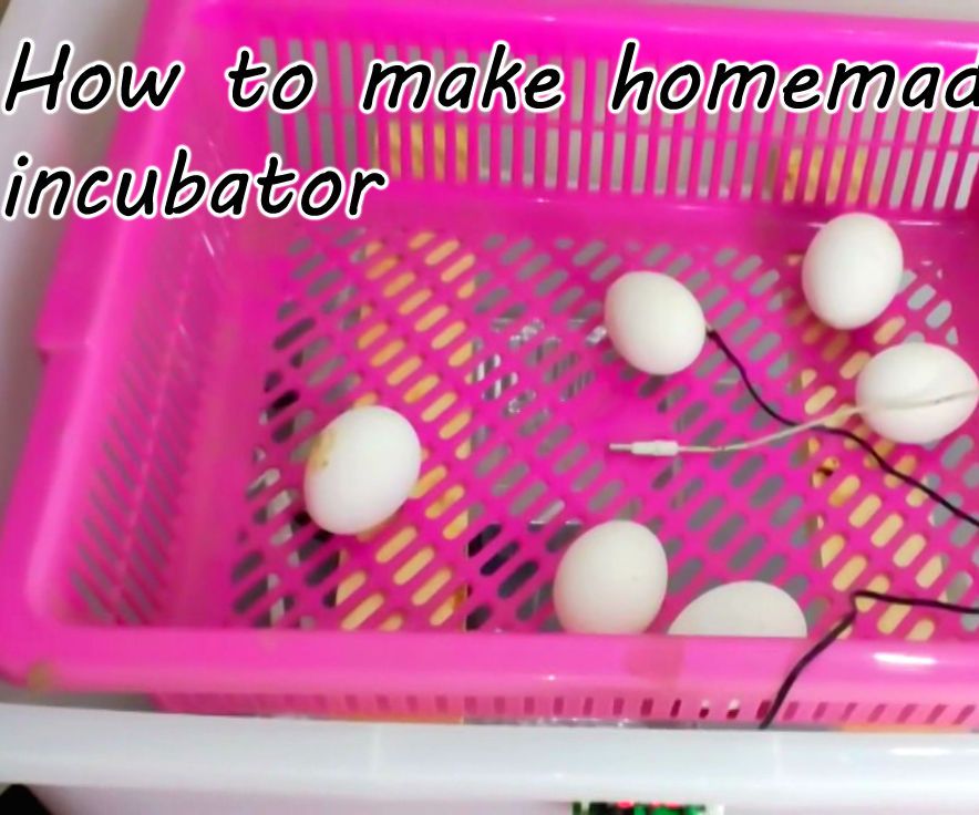 How to Make Homemade Incubator | Egg Hatcher at Home : 5 Steps (with ...