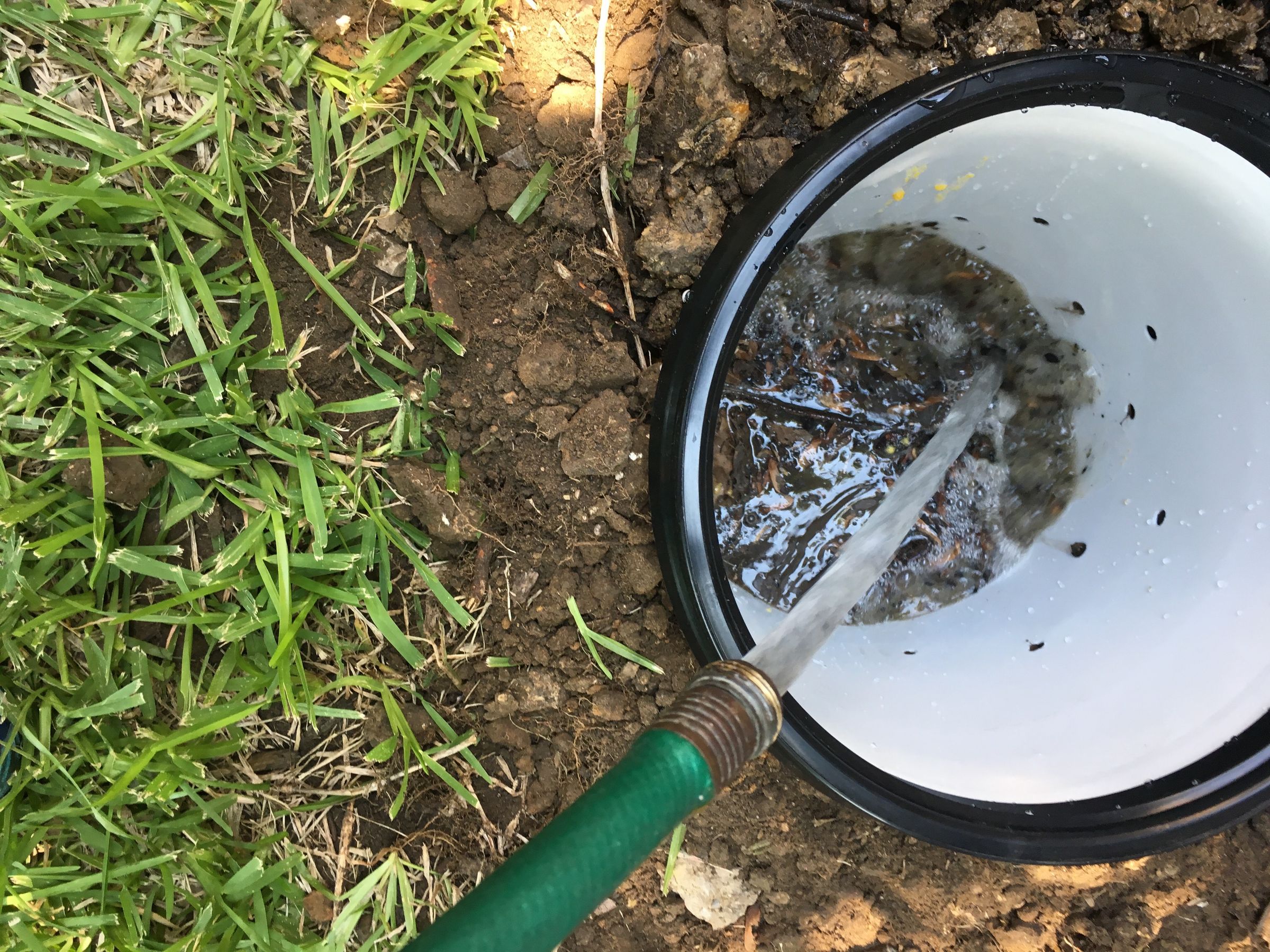 DIY Doggie Septic System With Natural Starter : 14 Steps (with Pictures ...