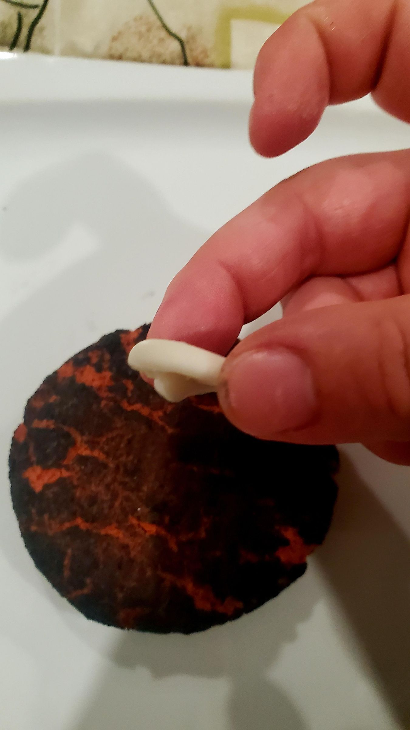 Spider Eye Cookies : 6 Steps (with Pictures) - Instructables