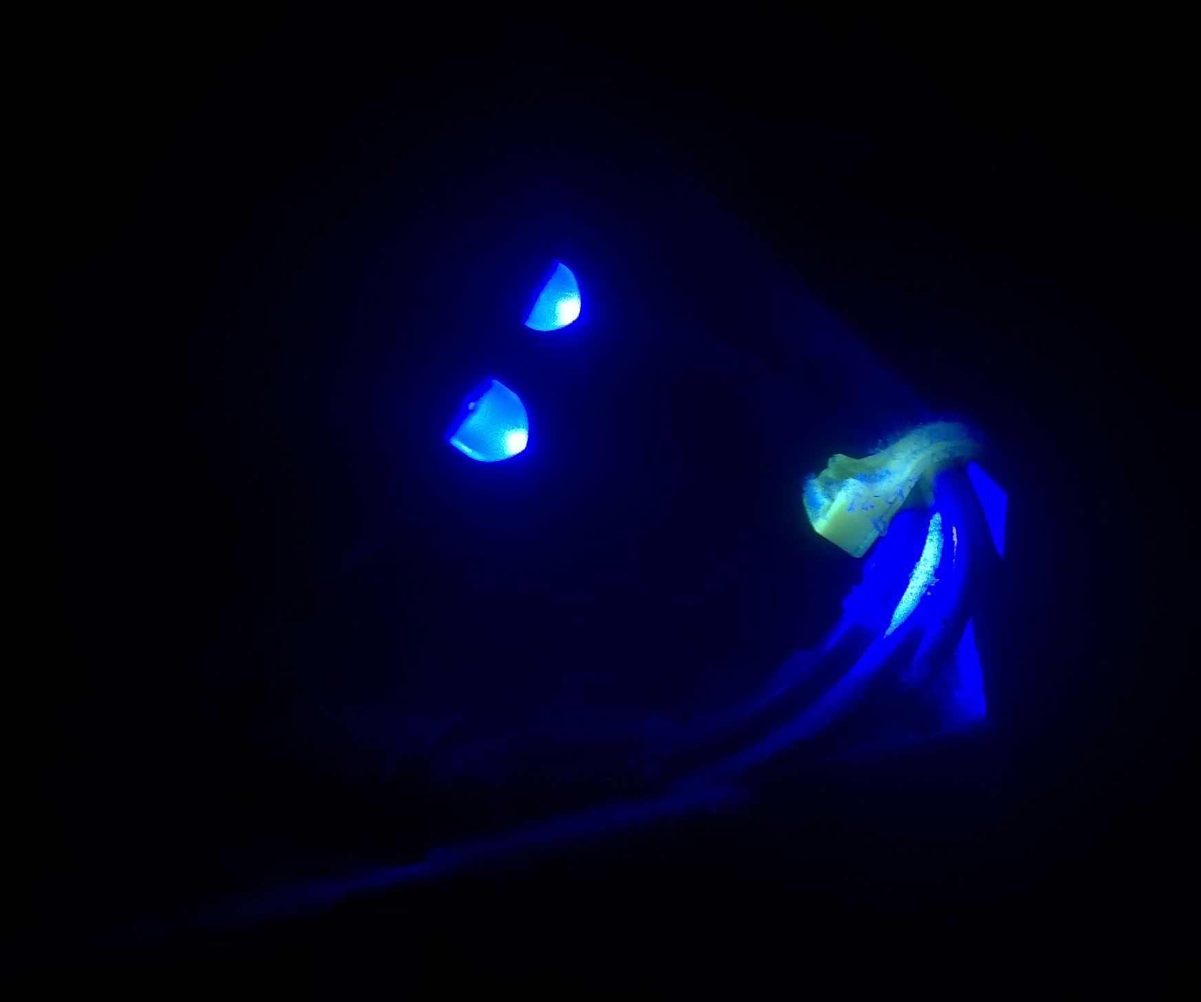 A Super Simple UV Flashlight : 9 Steps (with Pictures) - Instructables