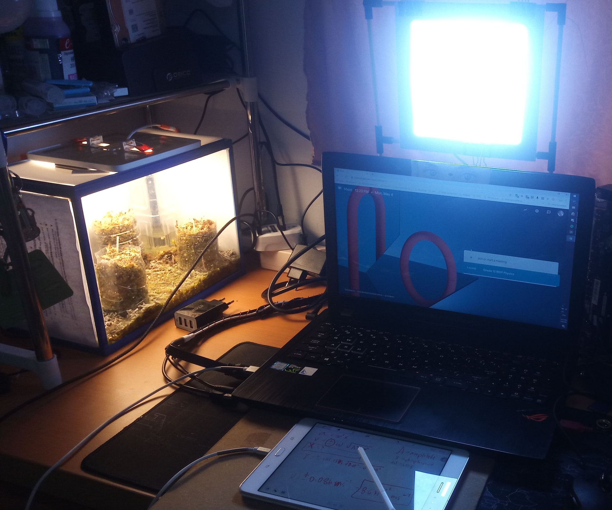 Virtual Classroom: Lights, Green Screen, and Virtual Board : 4 Steps ...