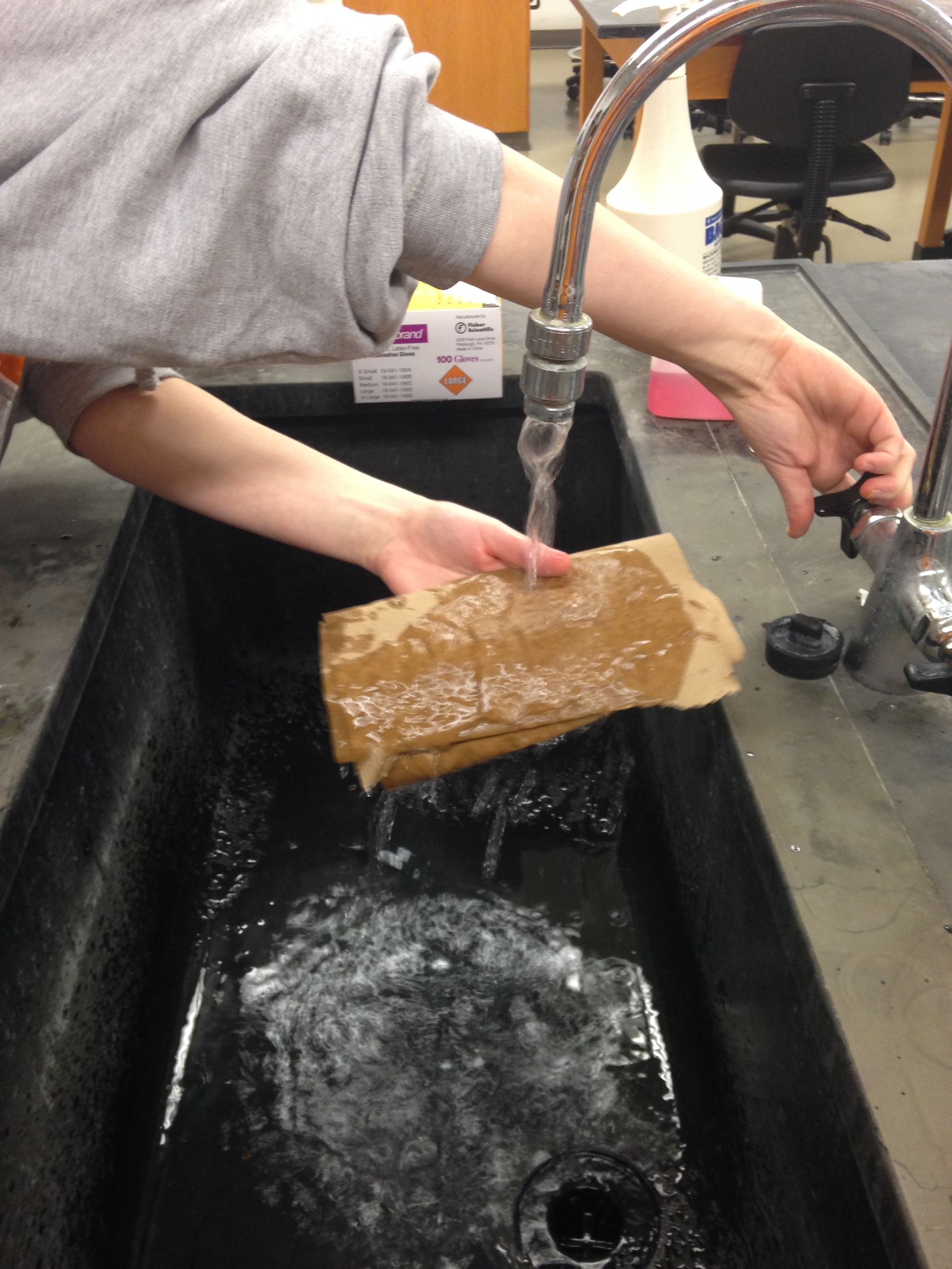 How to Properly Dispose of an American Bullfrog After Dissection : 11 ...