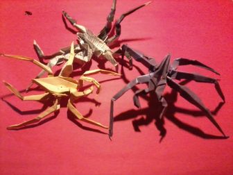 Origami Spider : 10 Steps (with Pictures) - Instructables