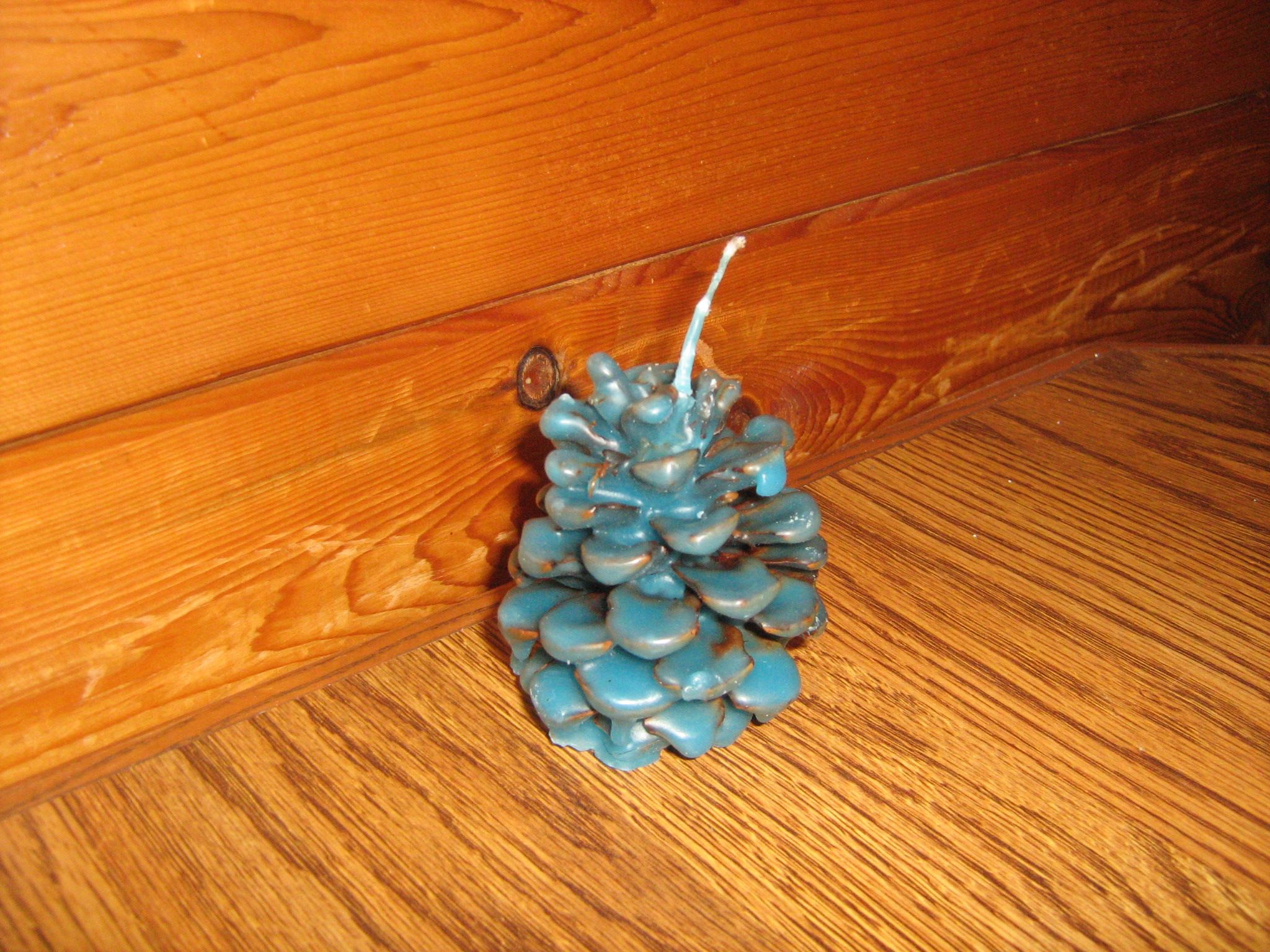 Pine Cone Fire Starters : 6 Steps (with Pictures) - Instructables