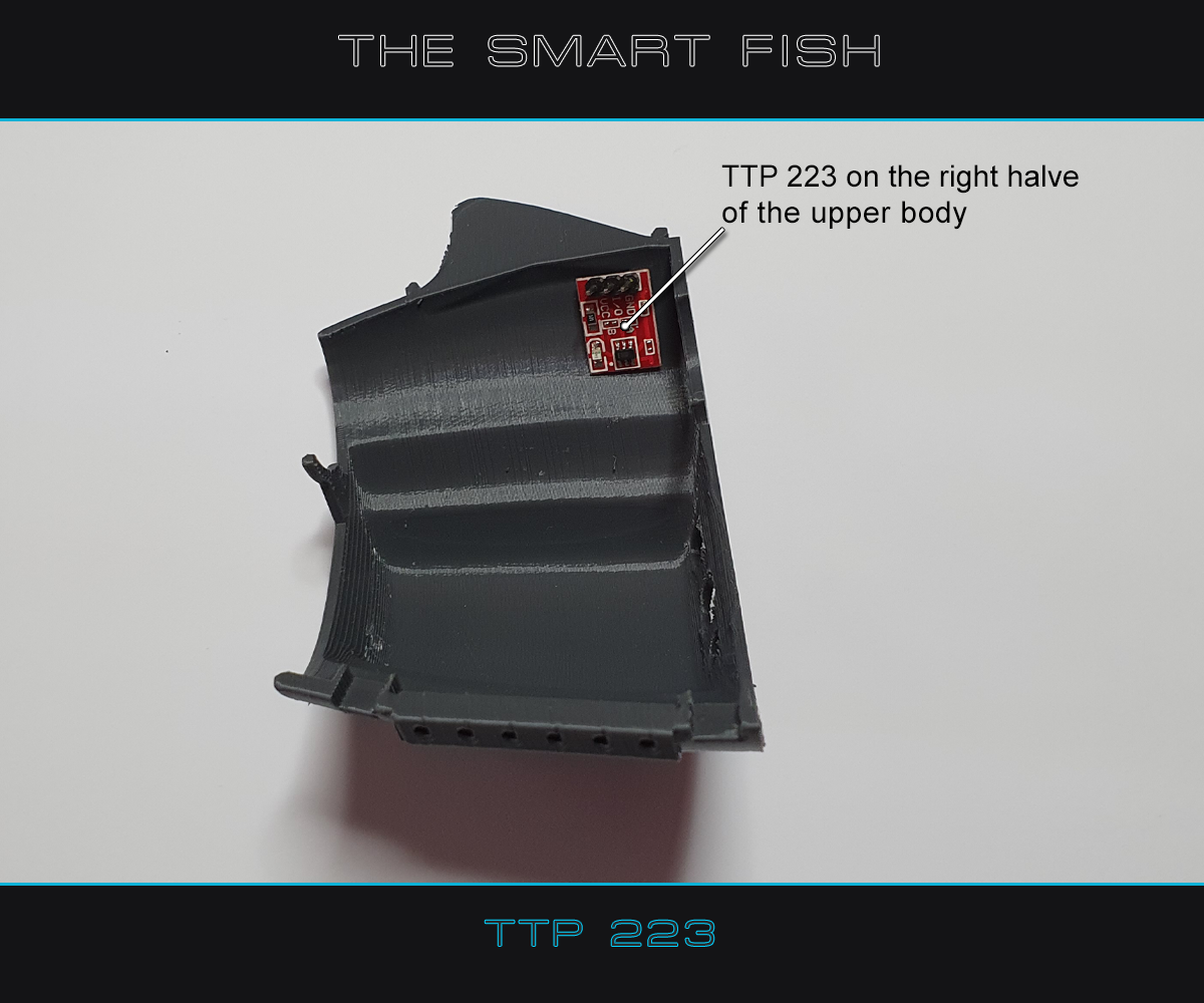 The Smart Fish. Programmable Robot : 21 Steps (with Pictures ...