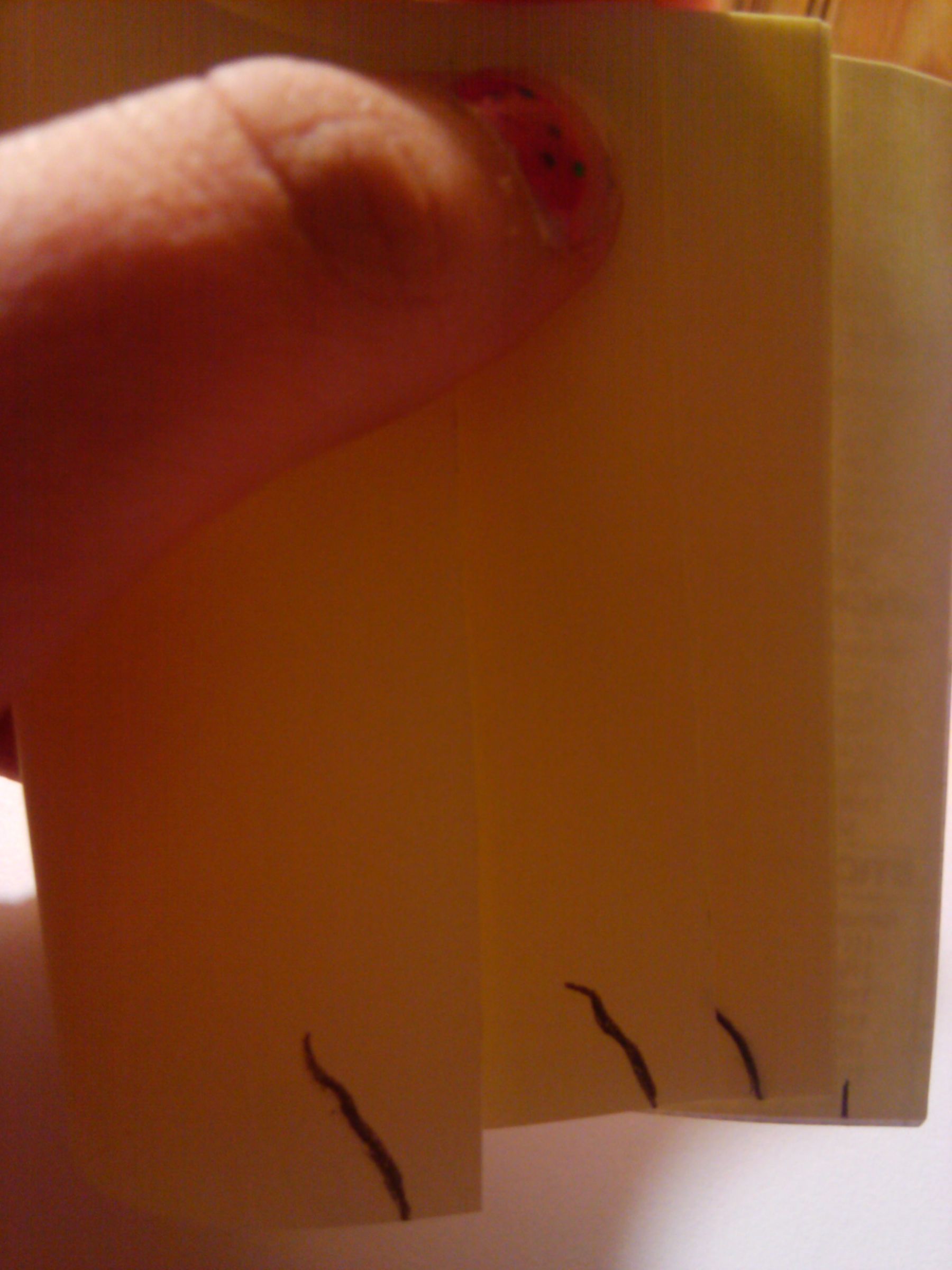 FlipNote Animation : 5 Steps - Instructables