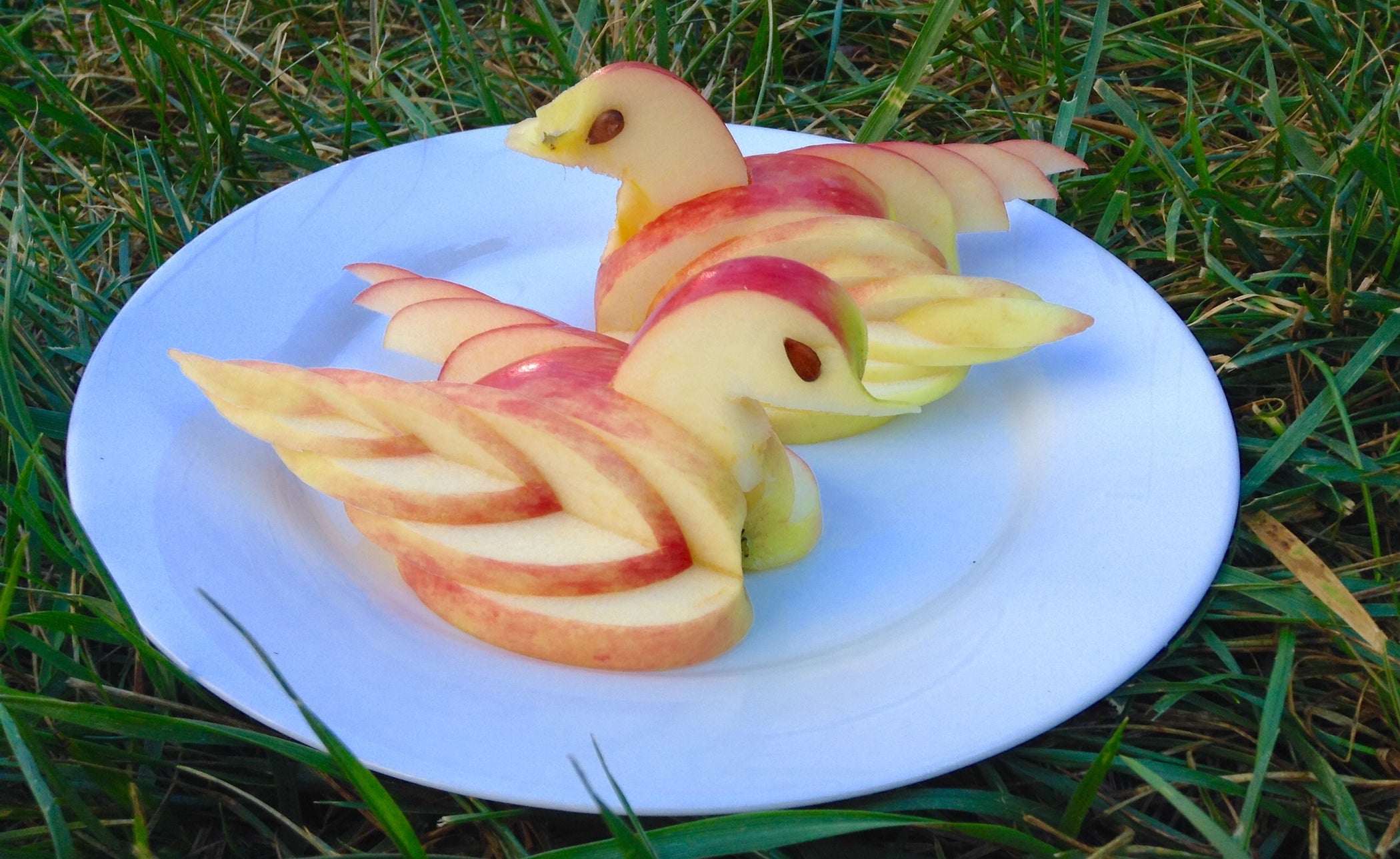 From Apple to Art : 5 Steps (with Pictures) - Instructables