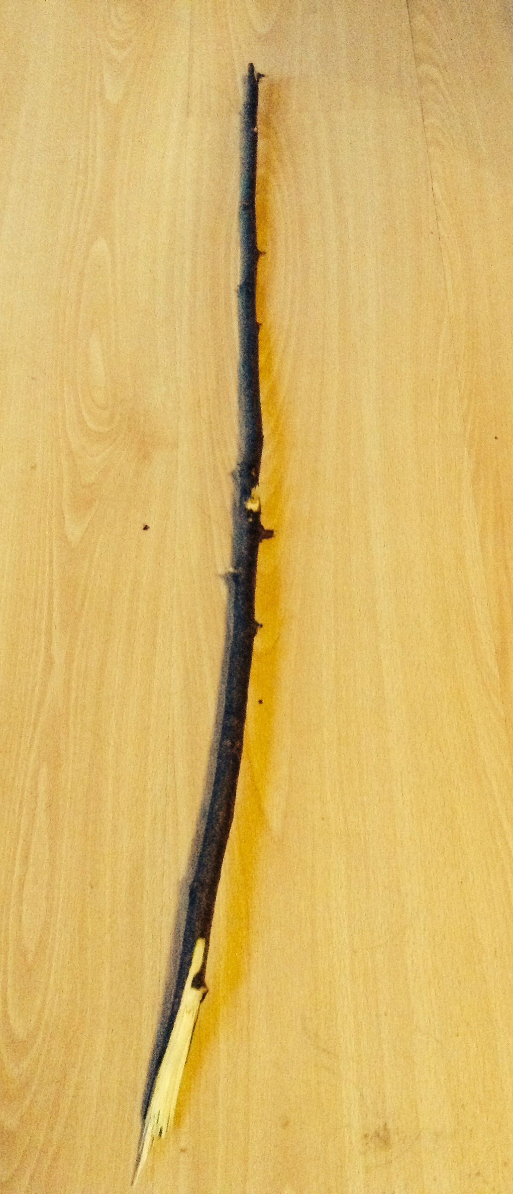 How to Make a Survival Whip Bow : 6 Steps - Instructables