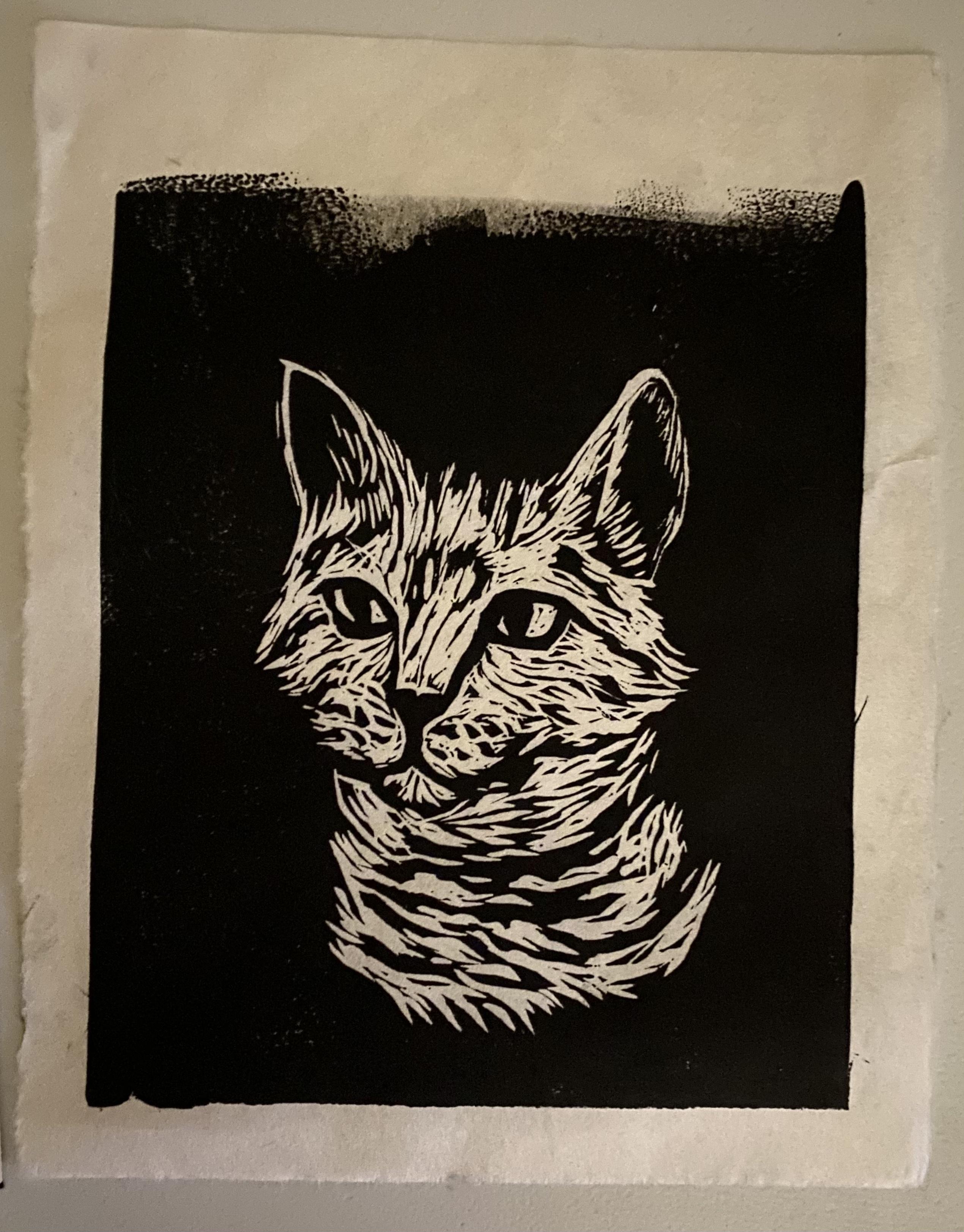 Off cut lino store