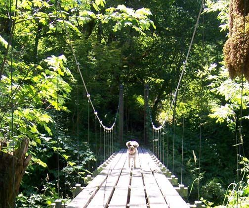 Building a Small Cable Suspension Bridge - the Basics Plus a Video Demo ...