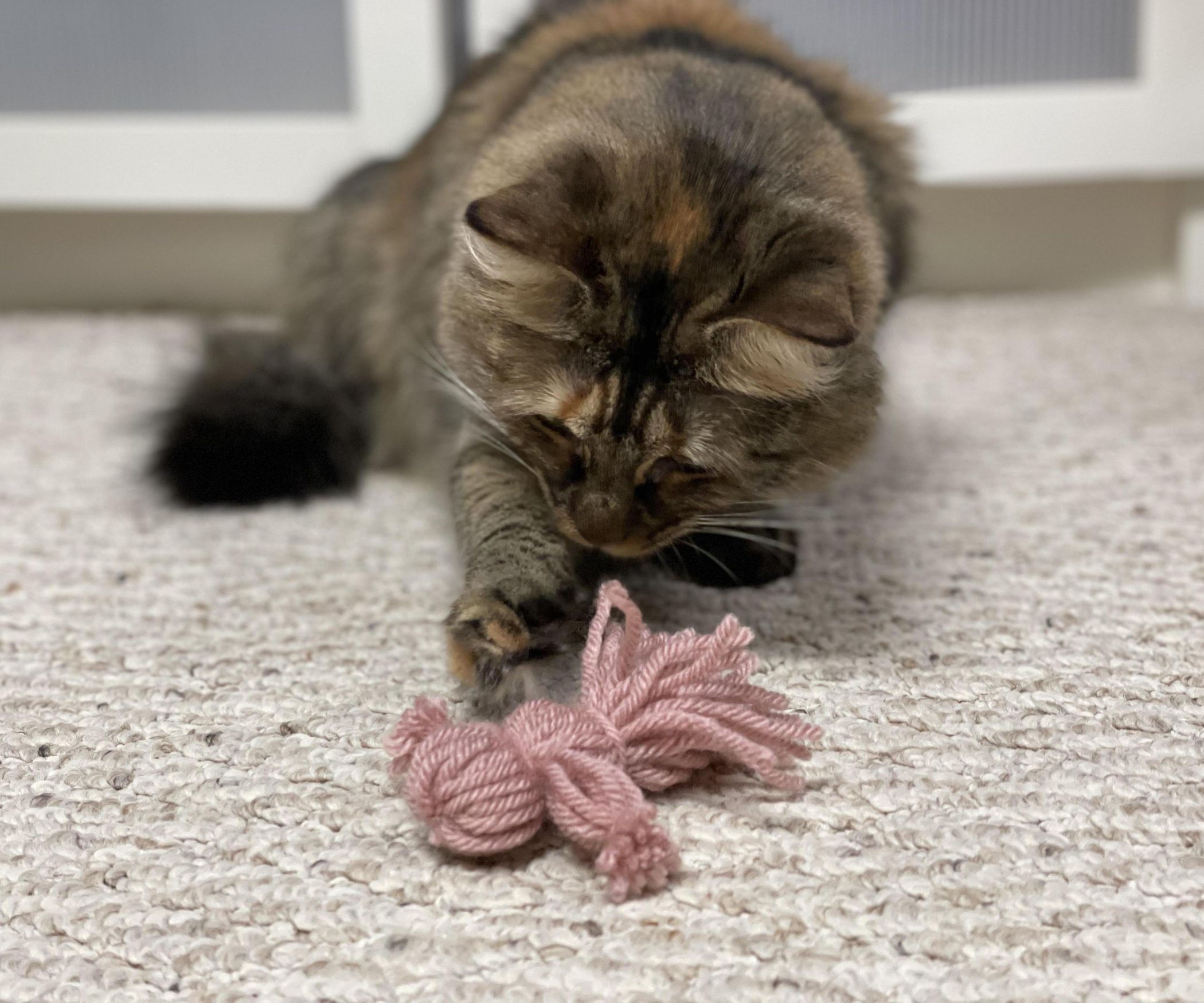 Baby Doll Cat Toy : 13 Steps (with Pictures) - Instructables