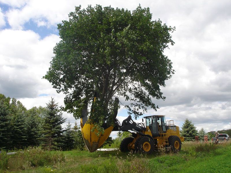 How to Move a Tree, Vehicle and A-frame Method : 17 Steps (with ...