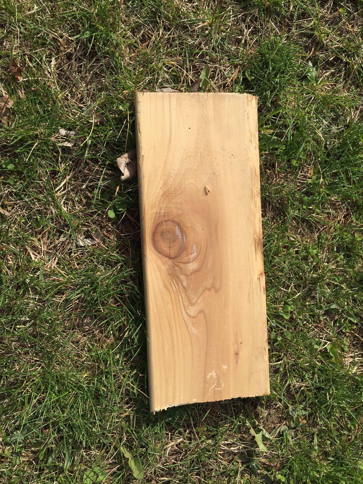 Wooden Animal Trap : 12 Steps - Instructables