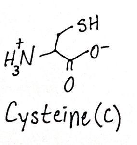 How to Draw Peptide Chains : 18 Steps (with Pictures) - Instructables
