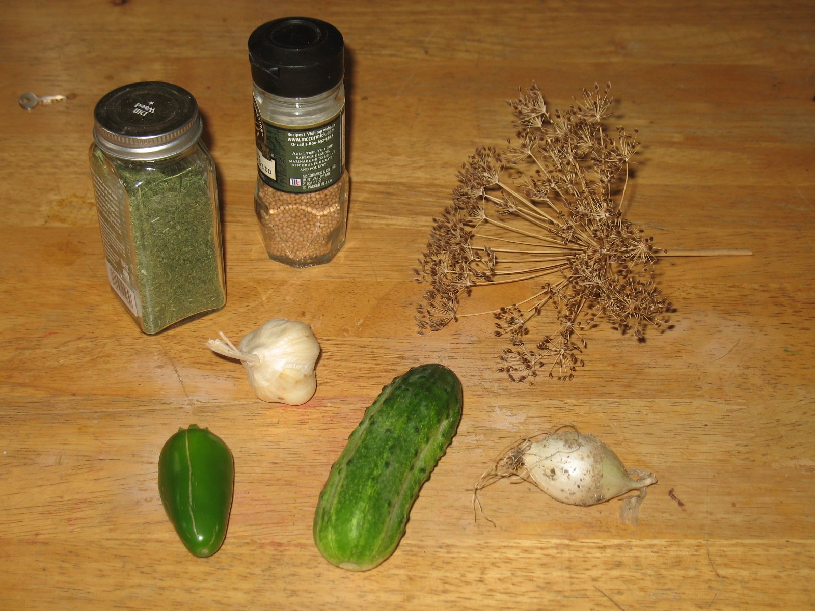 Trial and Error Dill Pickles : 5 Steps (with Pictures) - Instructables