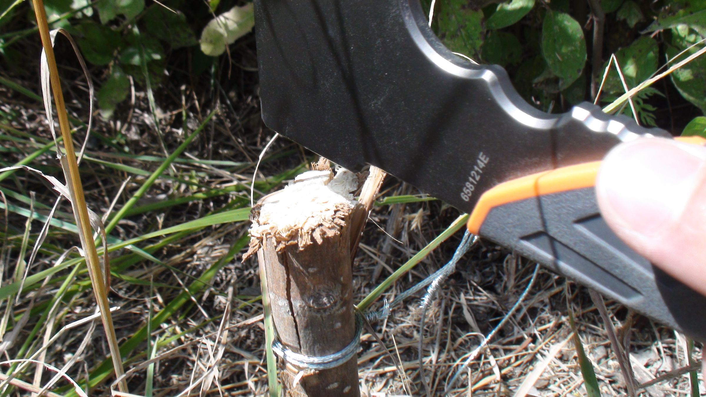 How to Make a Rabbit Snare : 3 Steps (with Pictures) - Instructables