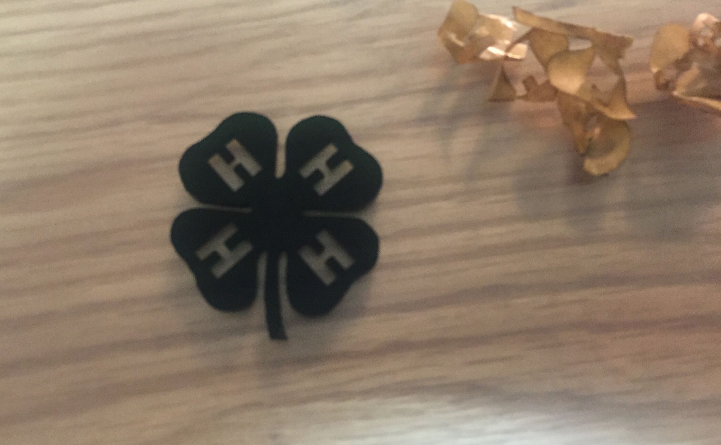 4-H Award Plaque : 8 Steps - Instructables