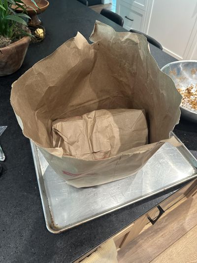 Paper Bag Pig in the Ground : 10 Steps (with Pictures) - Instructables