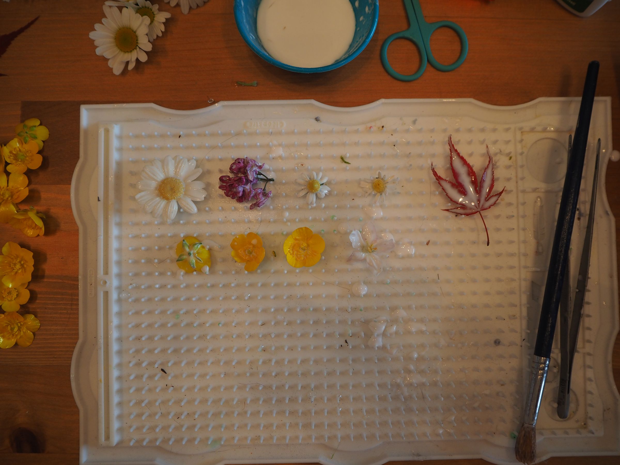Techniques to Embed Flowers in Resin : 12 Steps (with Pictures ...