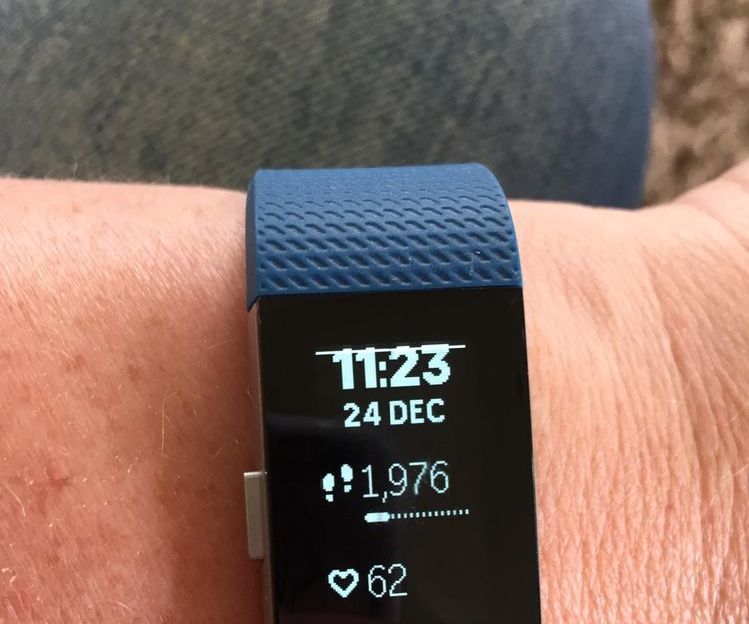 Lets Fix a Fitbit Charge 2 Together. Lines in the Screen. : 3 Steps ...