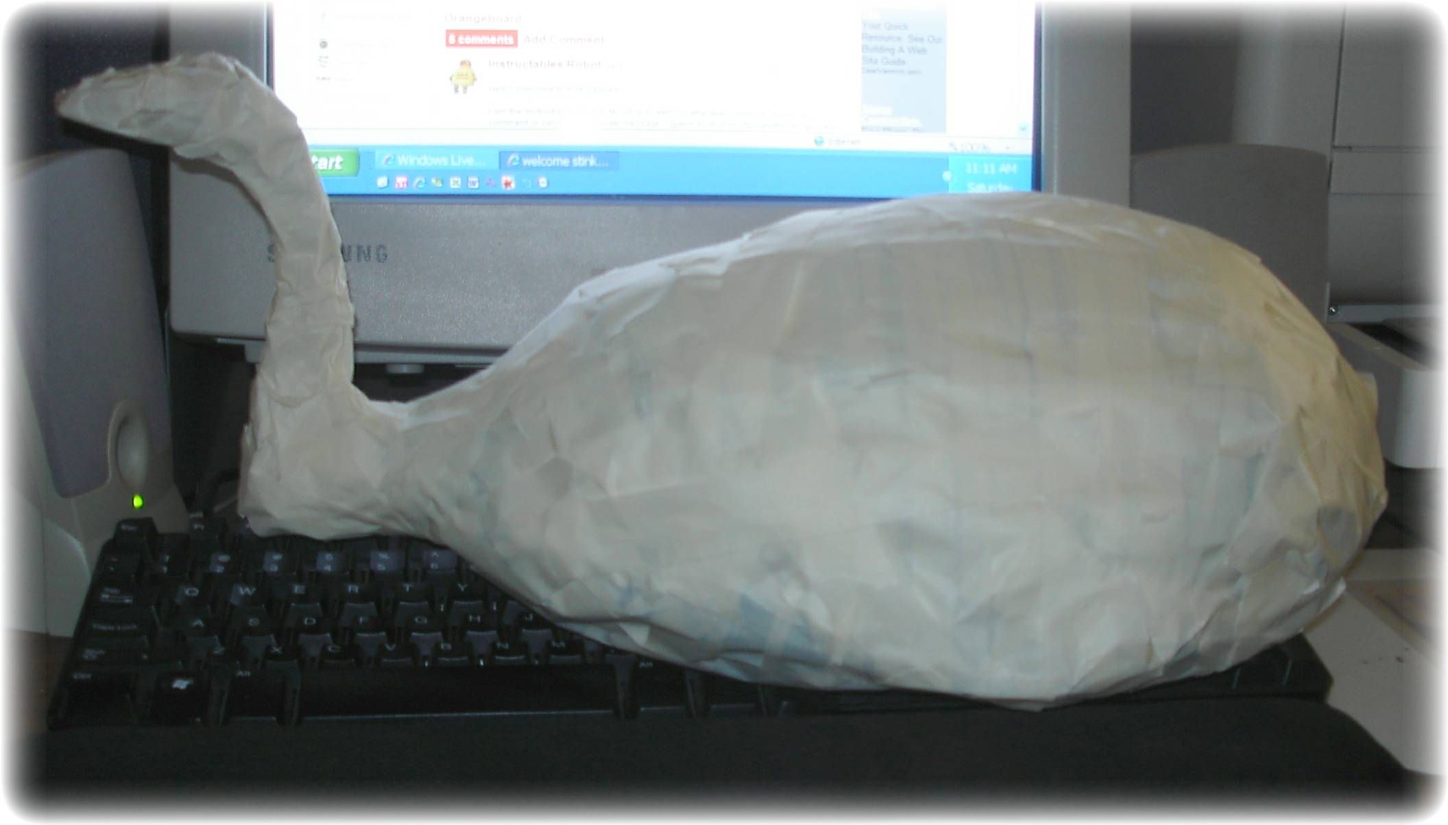 Recycle Plastic Grocery Bags, Wire Hangers and Newspaper Into Loons ...