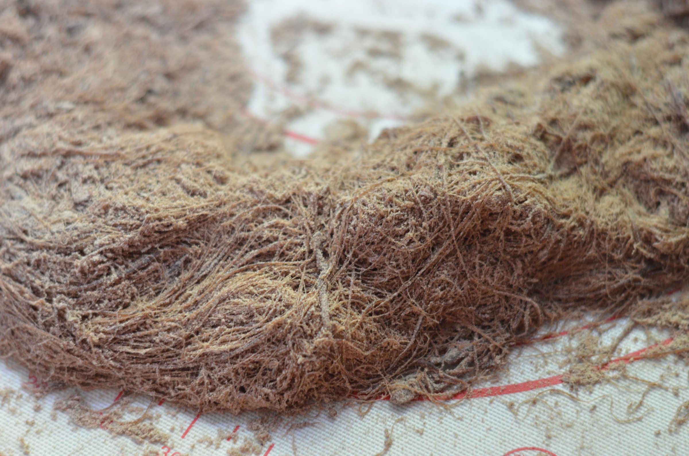 Hand-Pulled Chocolate Cotton Candy : 7 Steps (with Pictures ...
