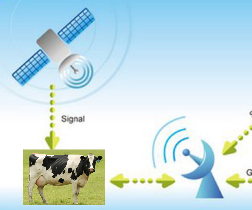 How to Make a Countryside Gps Tracker : 4 Steps - Instructables